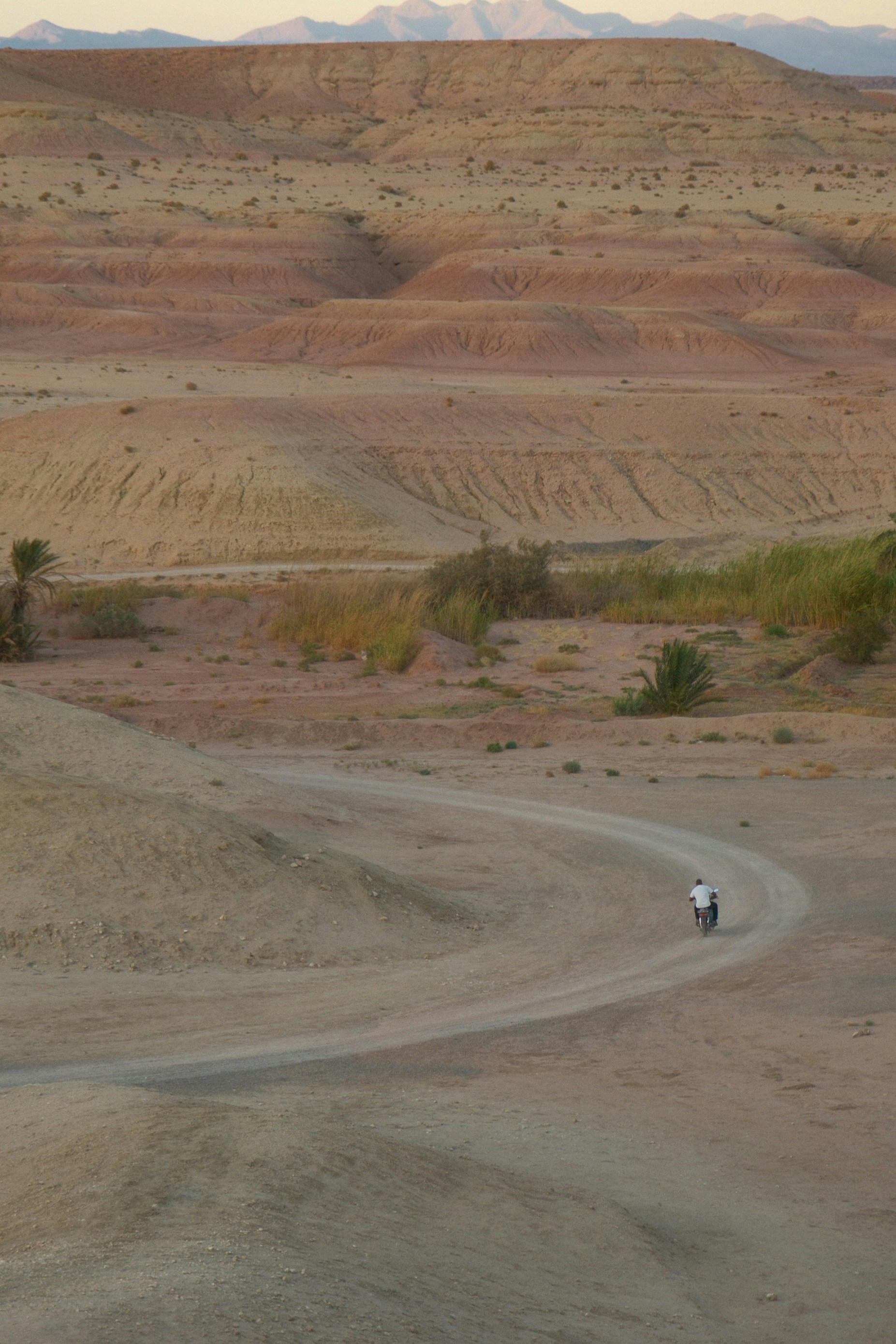 Person riding a motorcycle on a dirt road