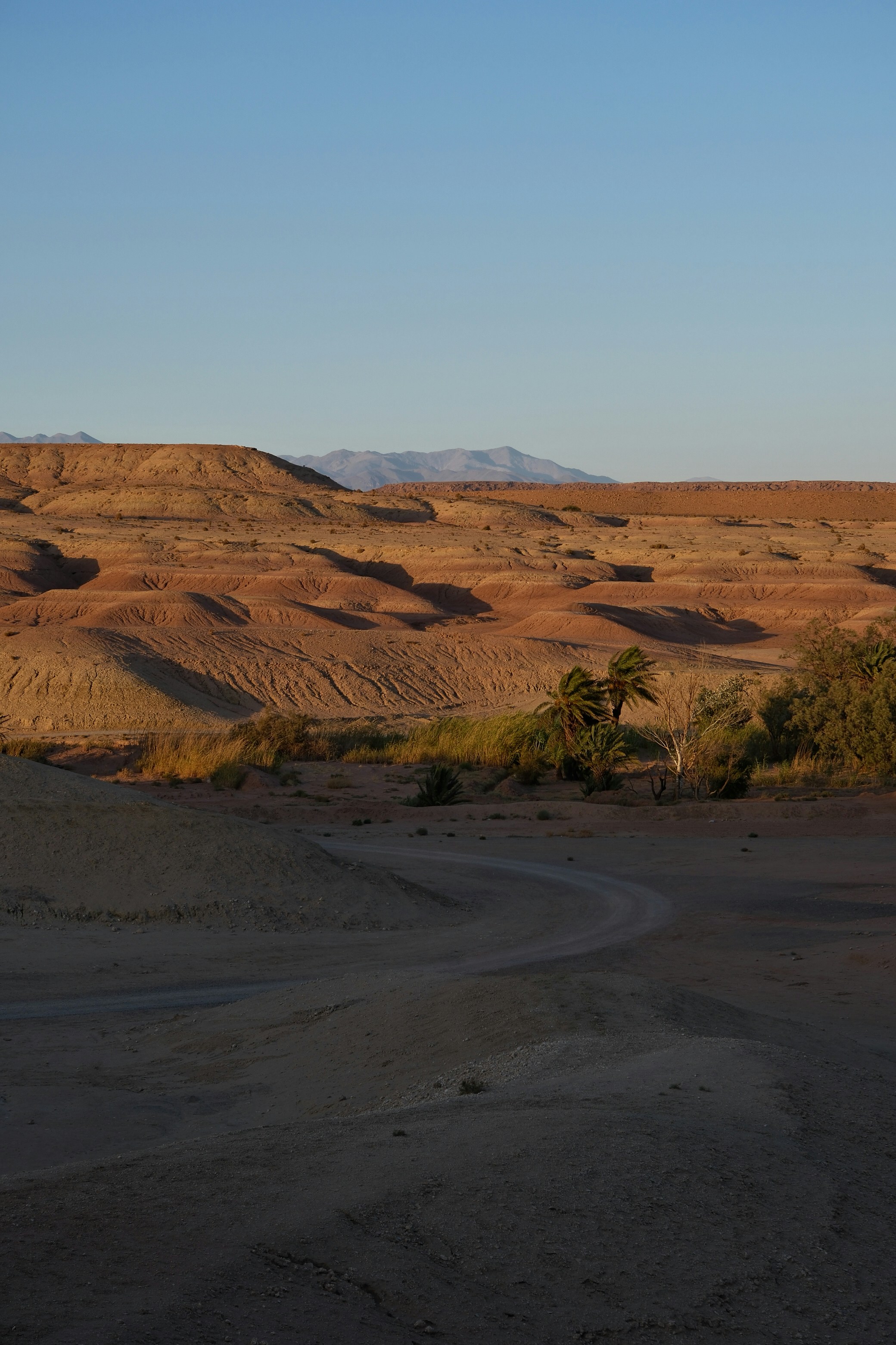 Whispers of the Desert: A Serene Landscape