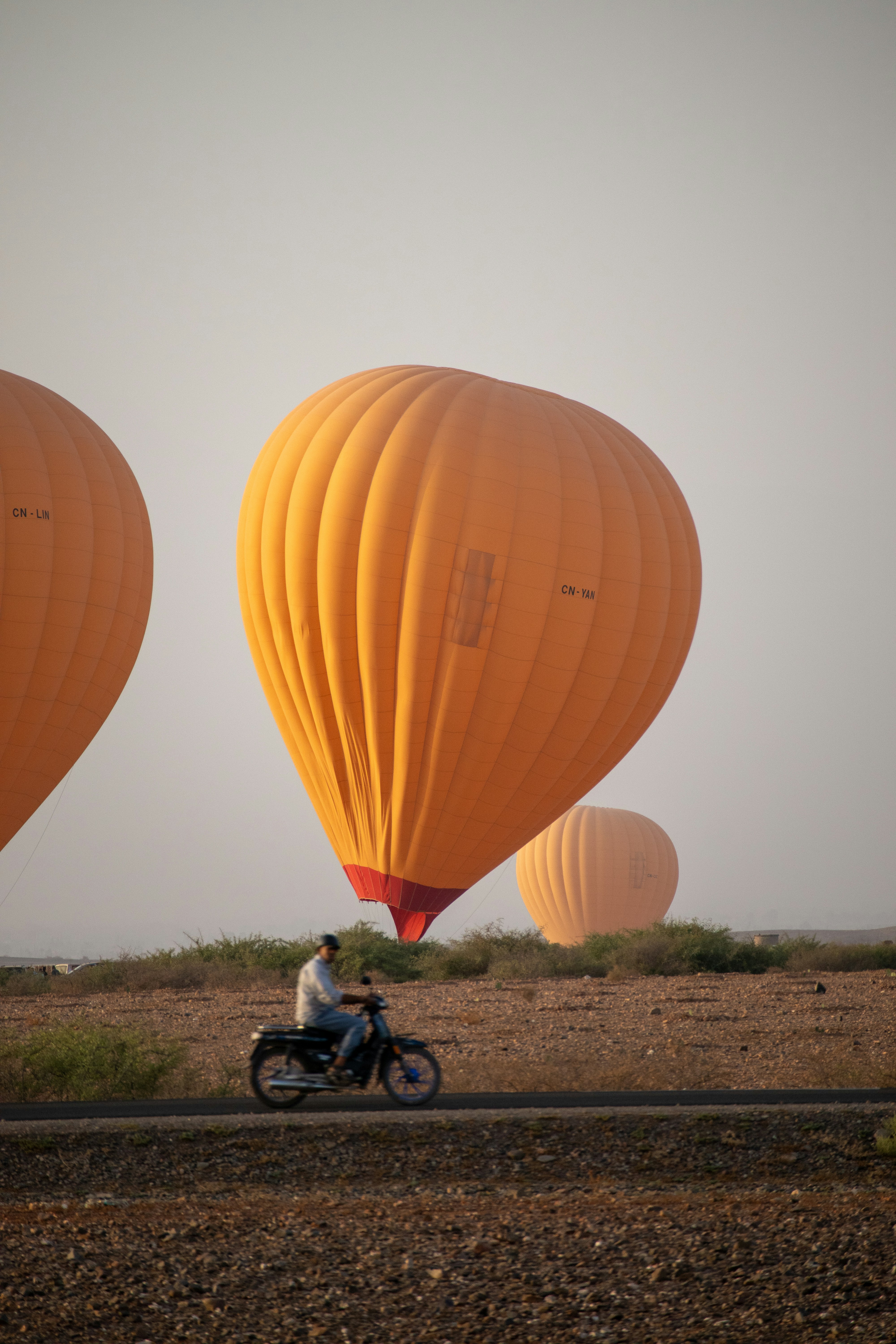 L’homme conduit une moto devant de grandes montgolfières orange. photo ...