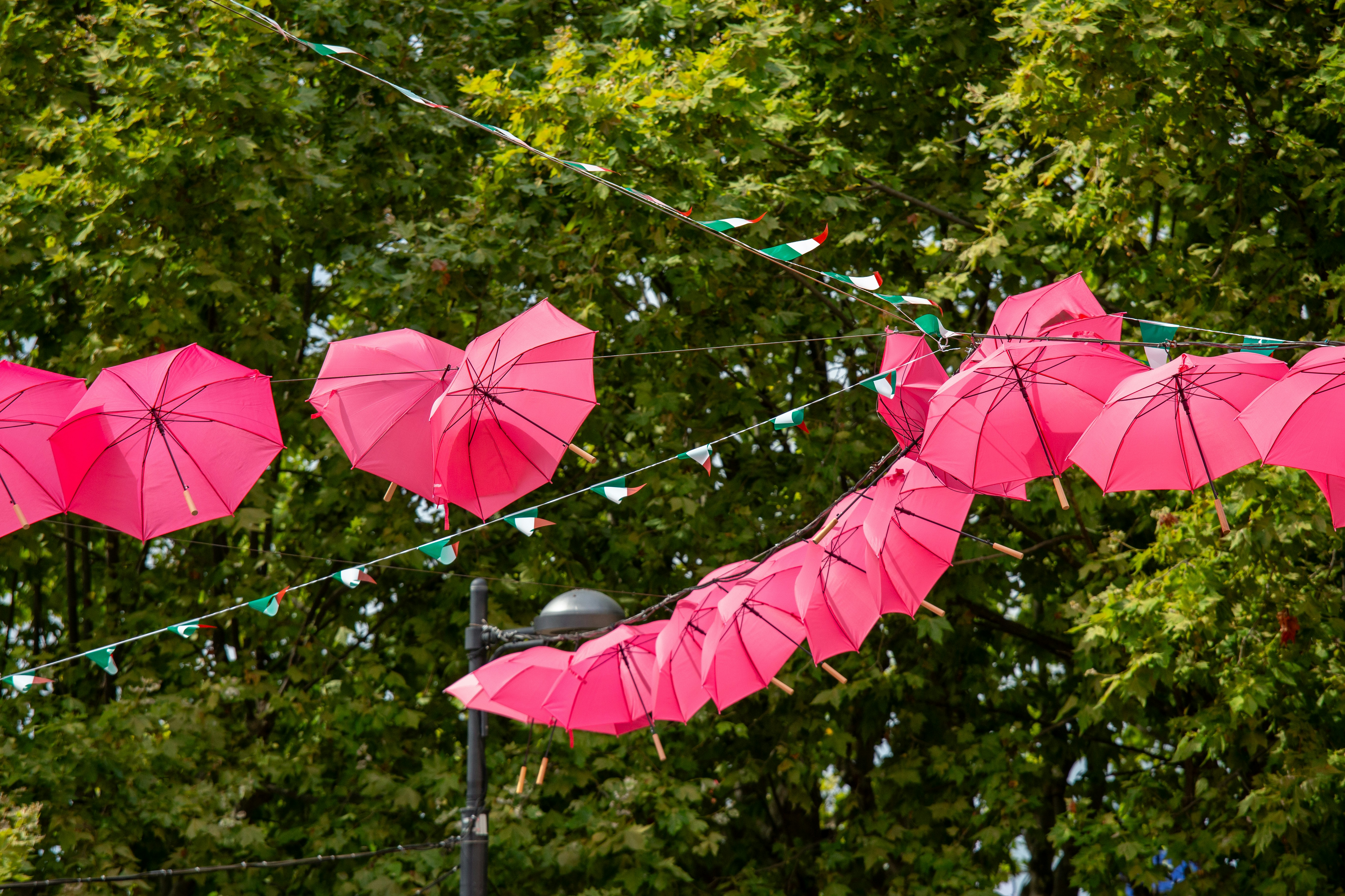 Whimsical Canopy of Heart-Shaped Umbrellas