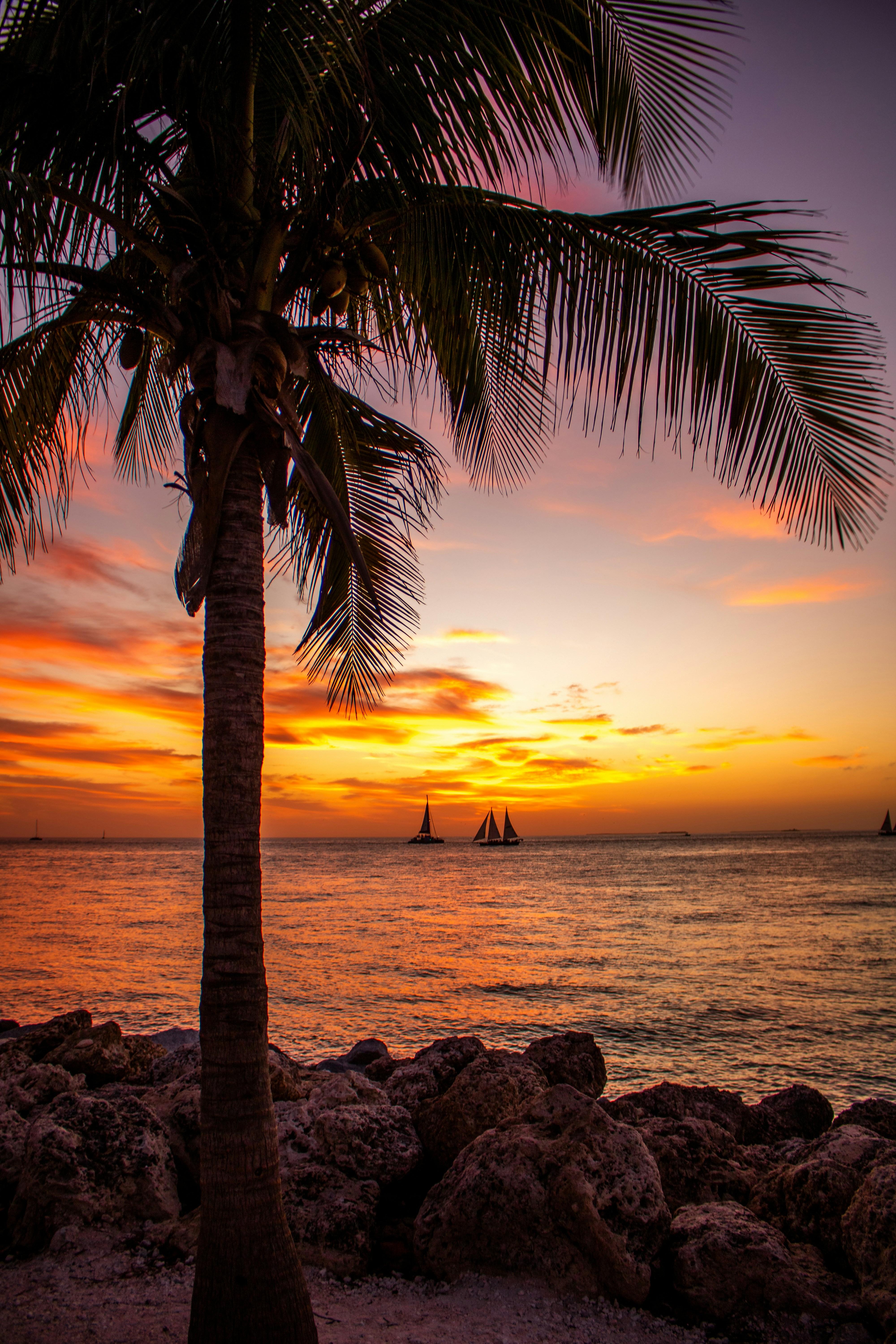 Sailing into the Sunset: A Tropical Escape