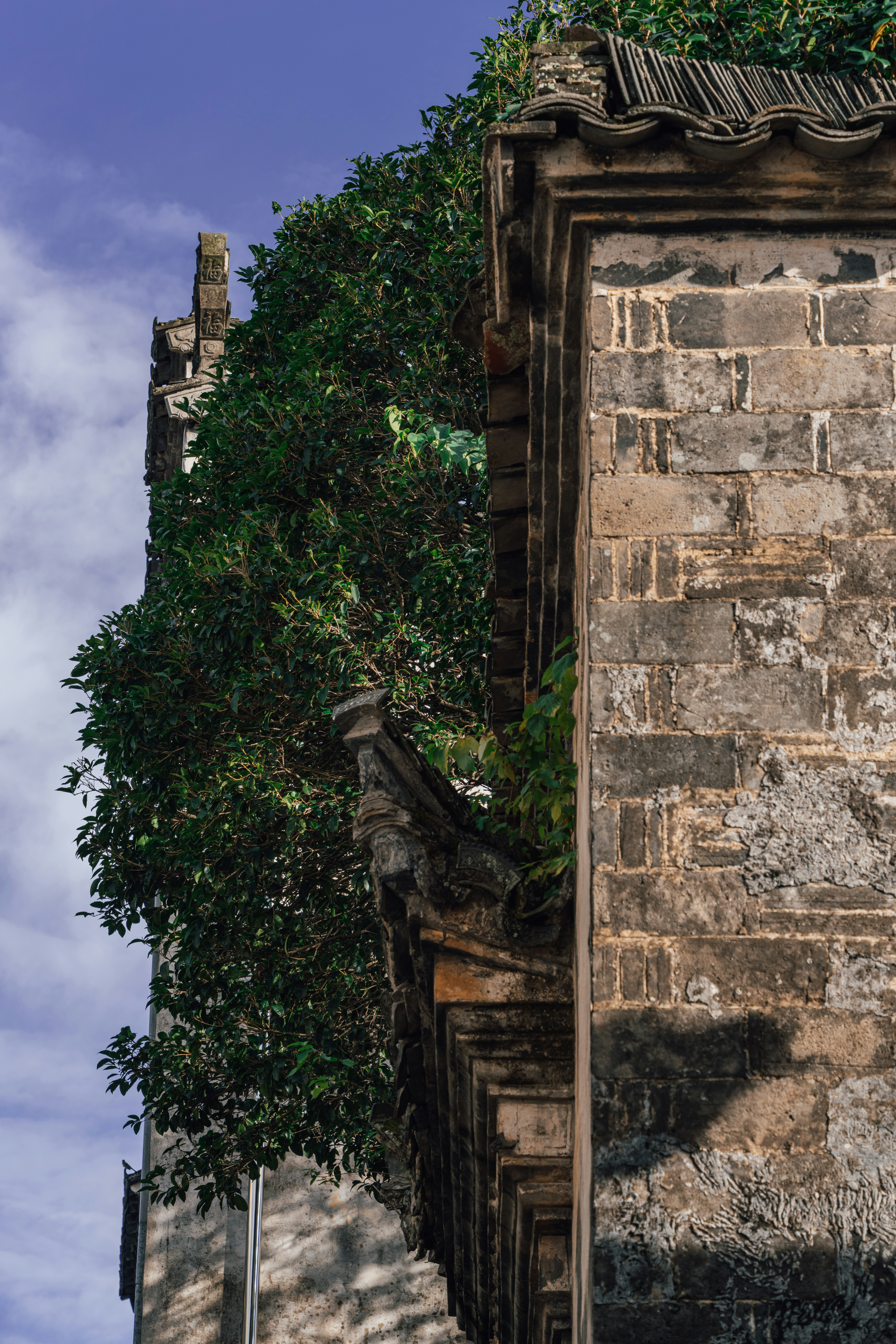 Whispers of Time: A Glimpse into Architectural Heritage