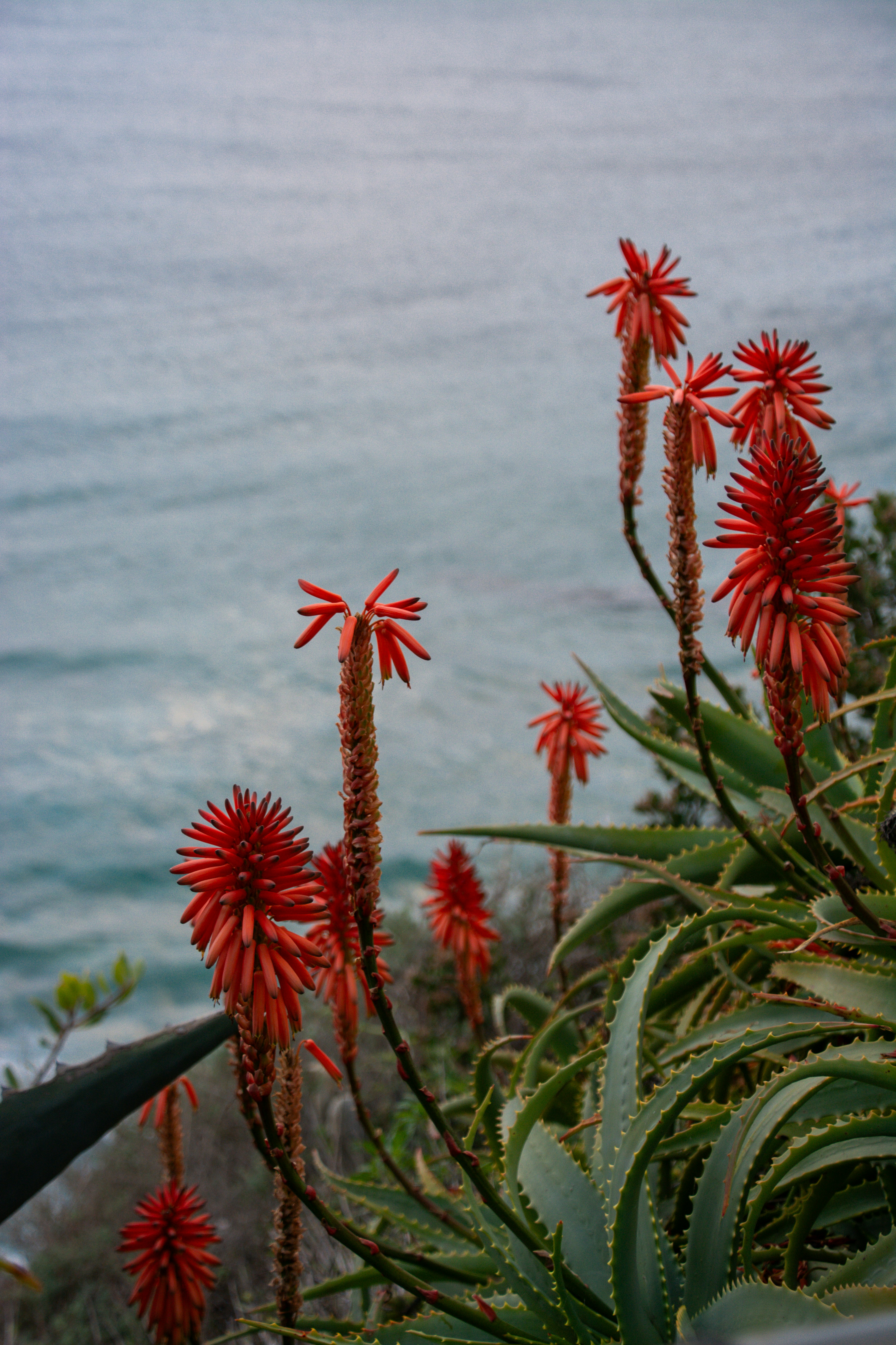 Katherine Jenswold (@kjenswold) | Comunidad de fotos de Unsplash