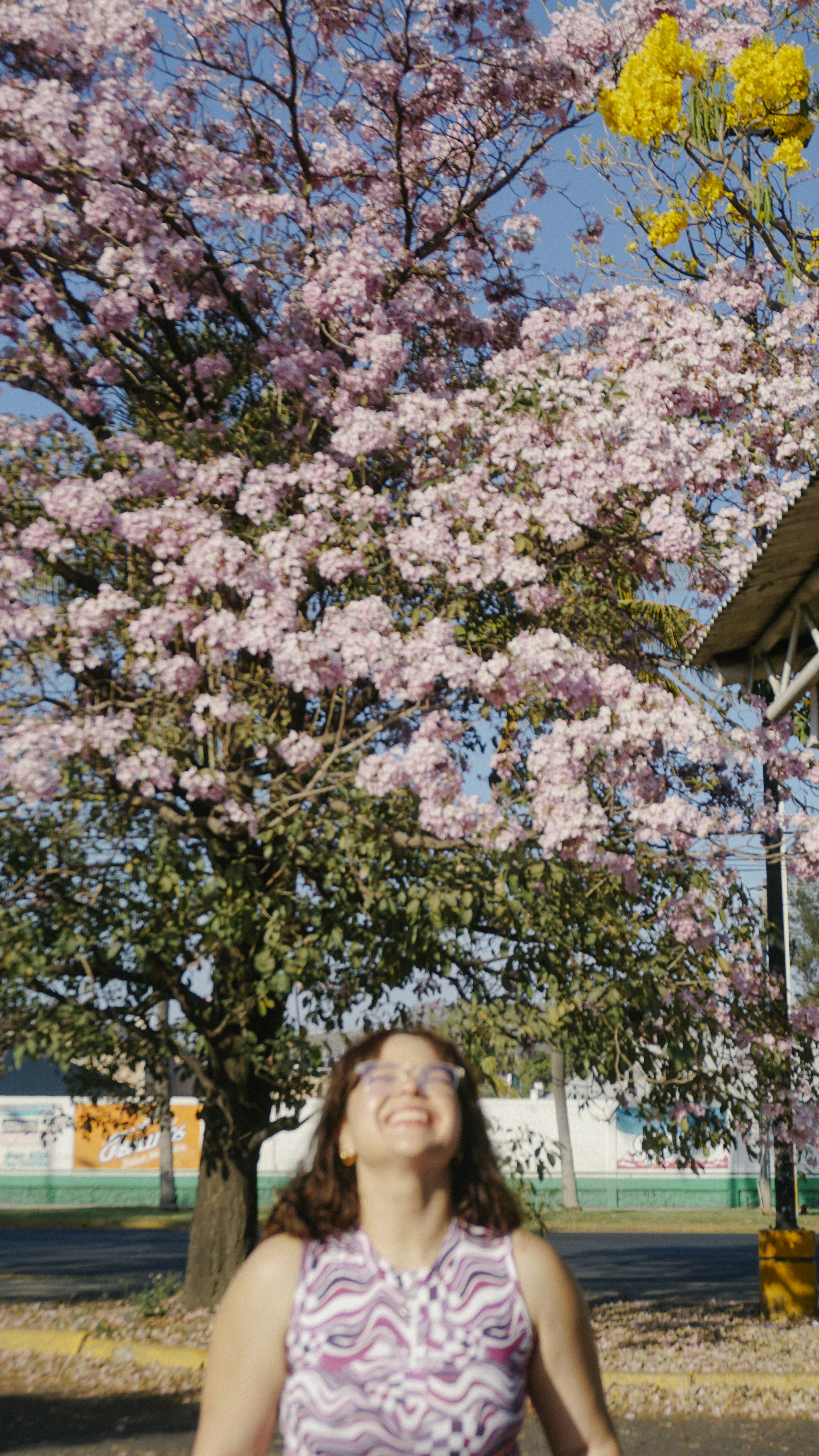 Joyful Moments Amidst Blossoms