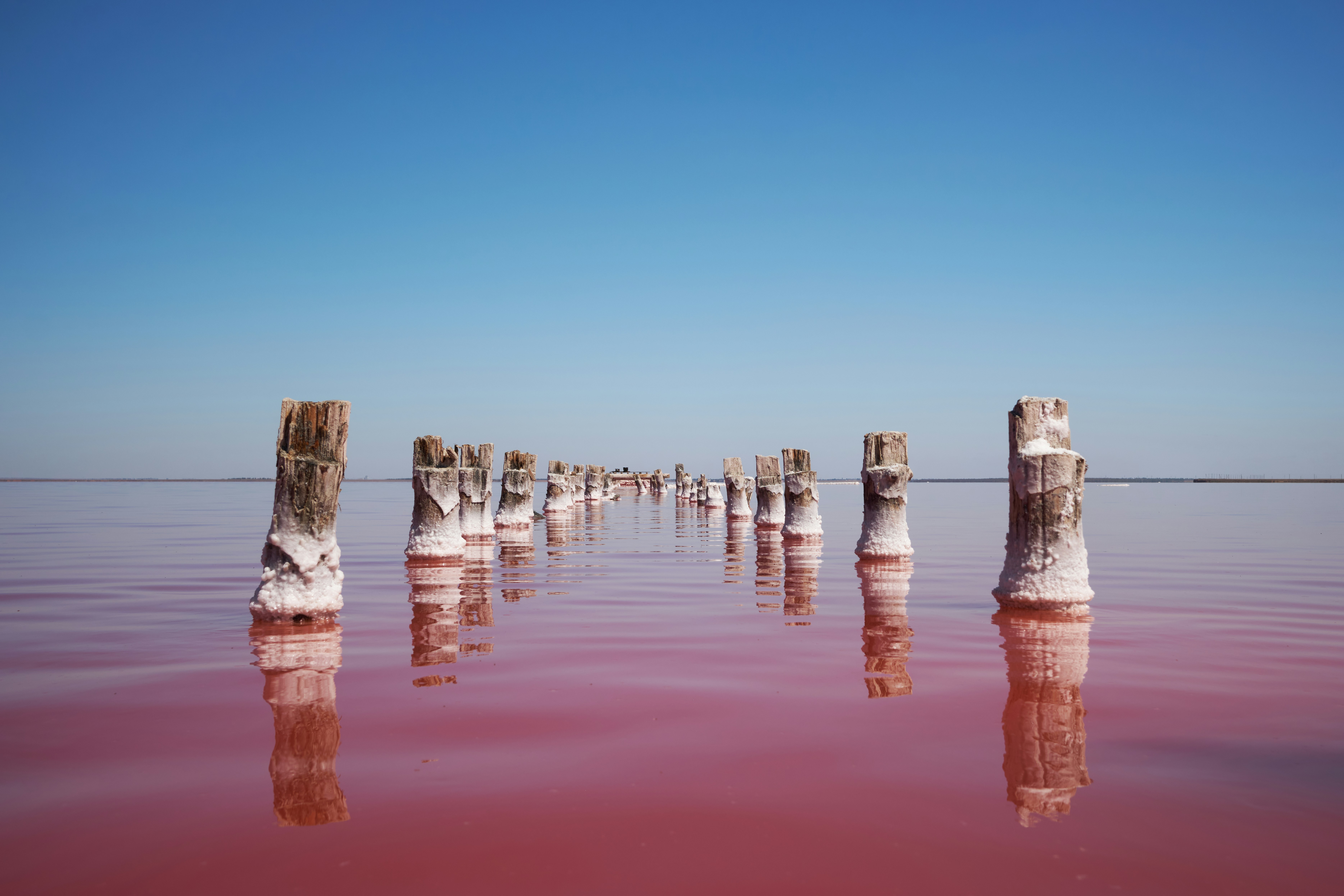 Wooden posts in pink water under a blue sky