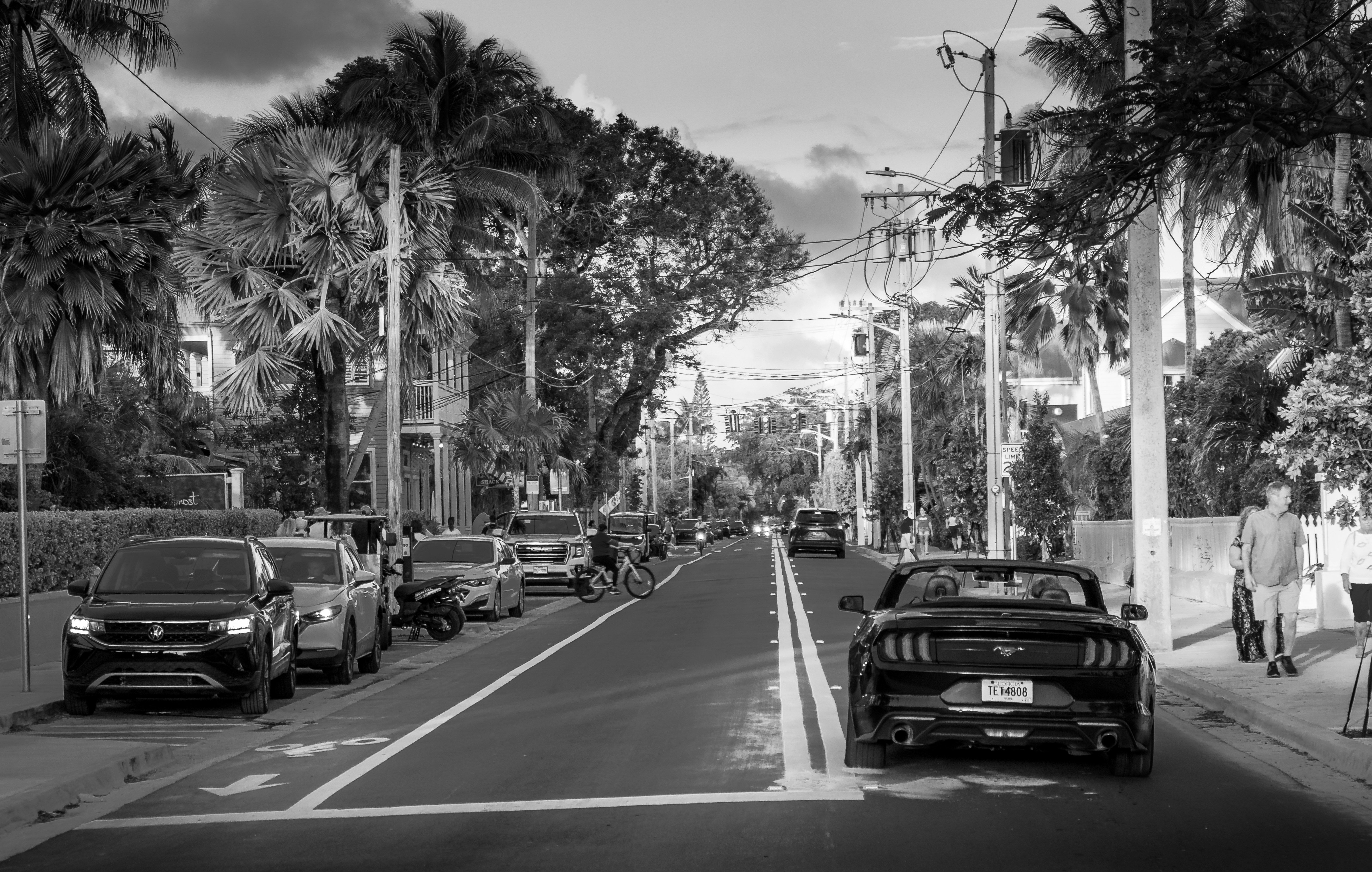 Monochrome Boulevard: Palm-Lined Avenue and a Vanishing Point