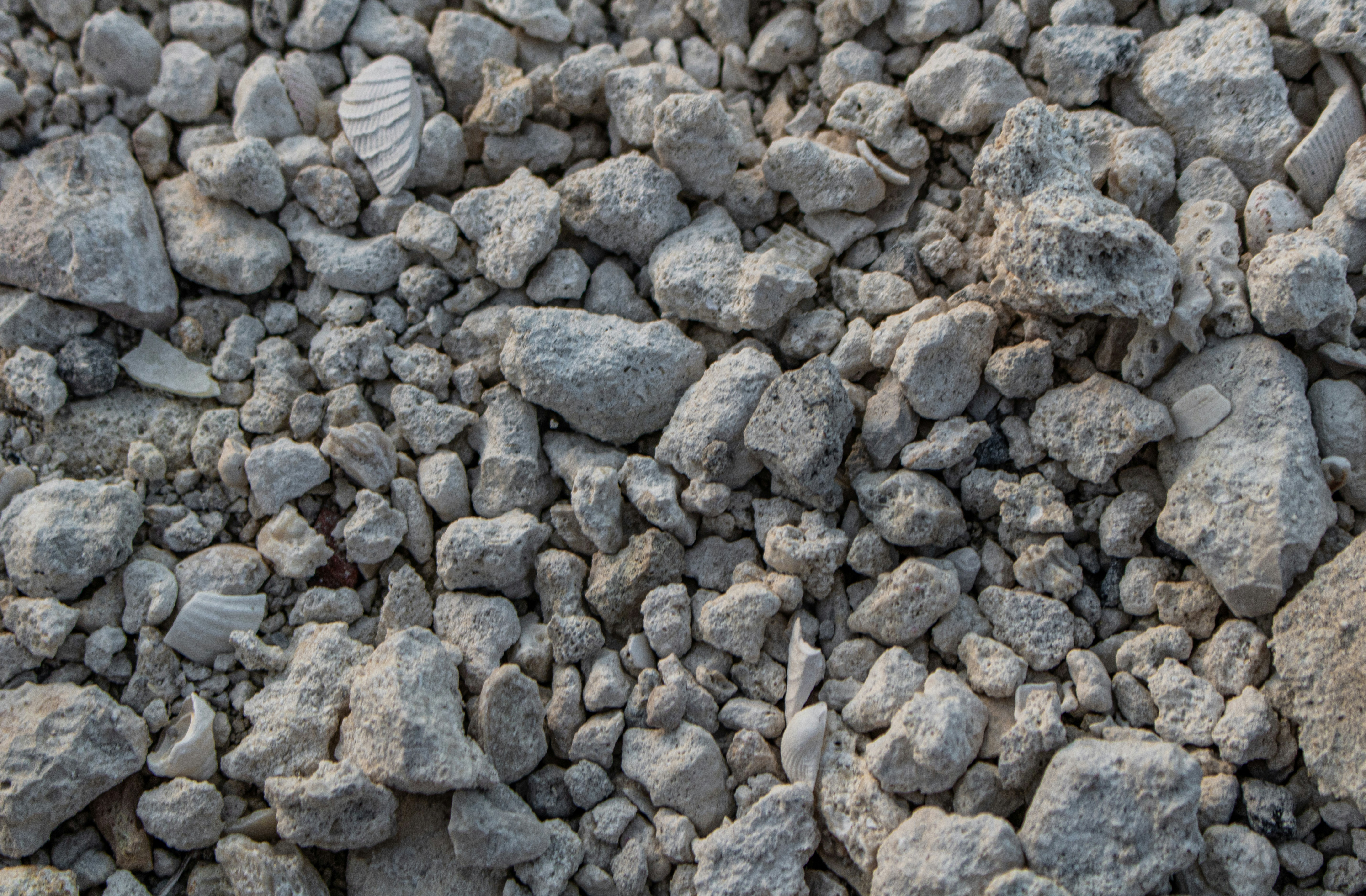 Broken coral fragments and seashell pieces lie scattered on the shore in Key West, Florida. This close-up view captures the textures and natural tones of the coral rubble that lines many beaches across the Florida Keys. | A pile of small gray rocks and pebbles