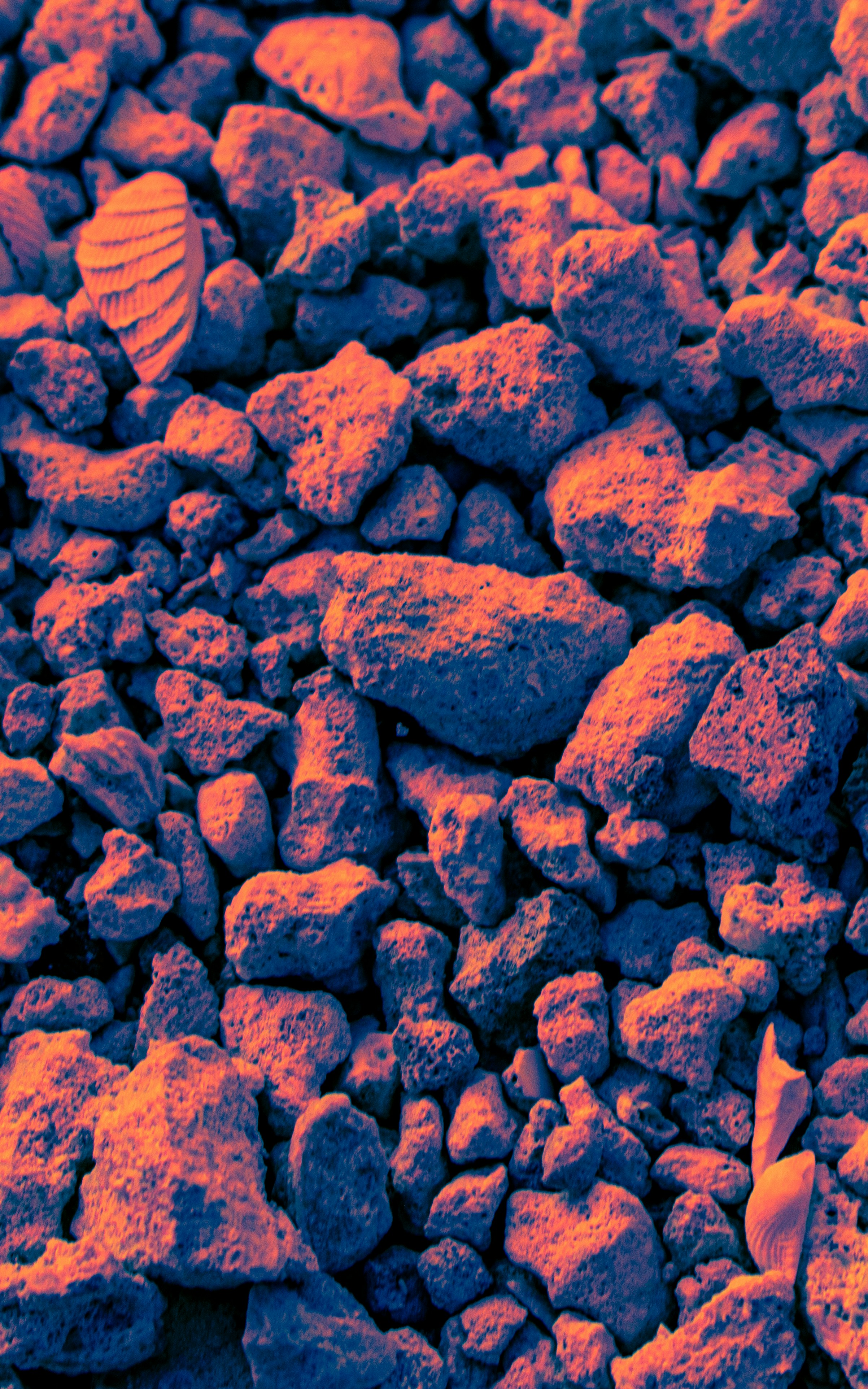 Textured Earth: A Vibrant Mosaic of Nature's Palette
