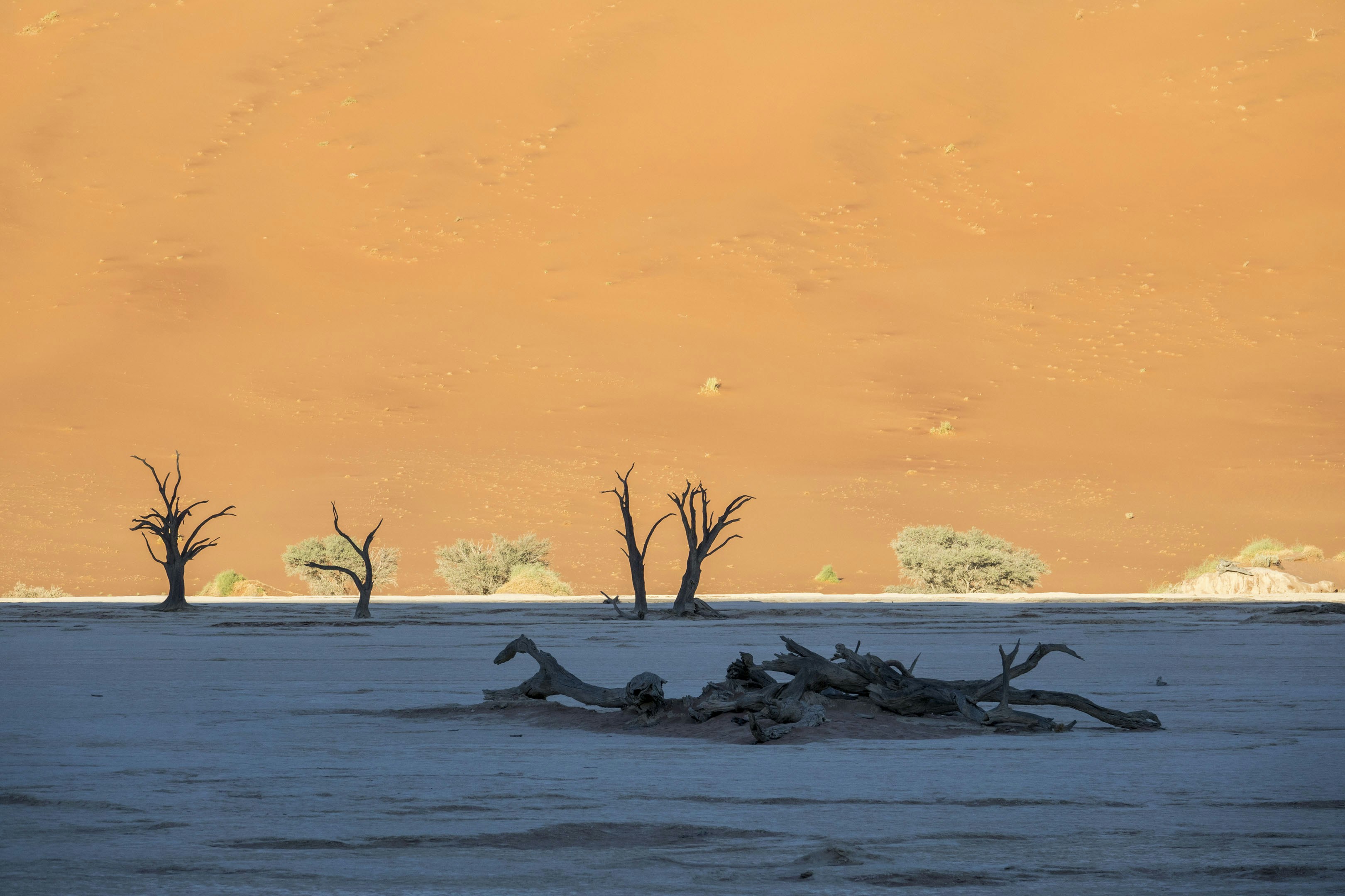 Whispers of the Desert: A Silent Dance of Time