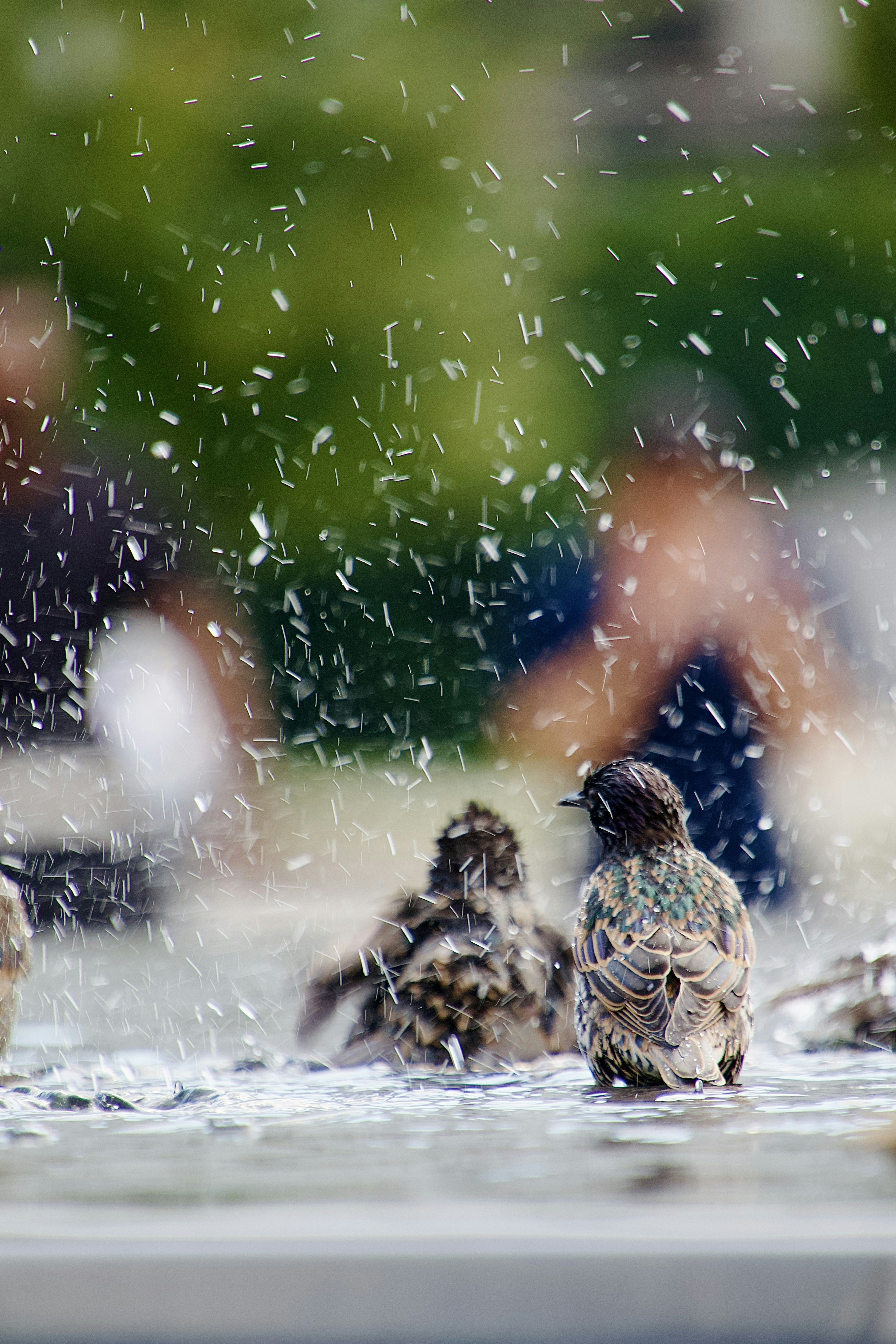 Photo by Sarguninder Singh with Canon EOS R100