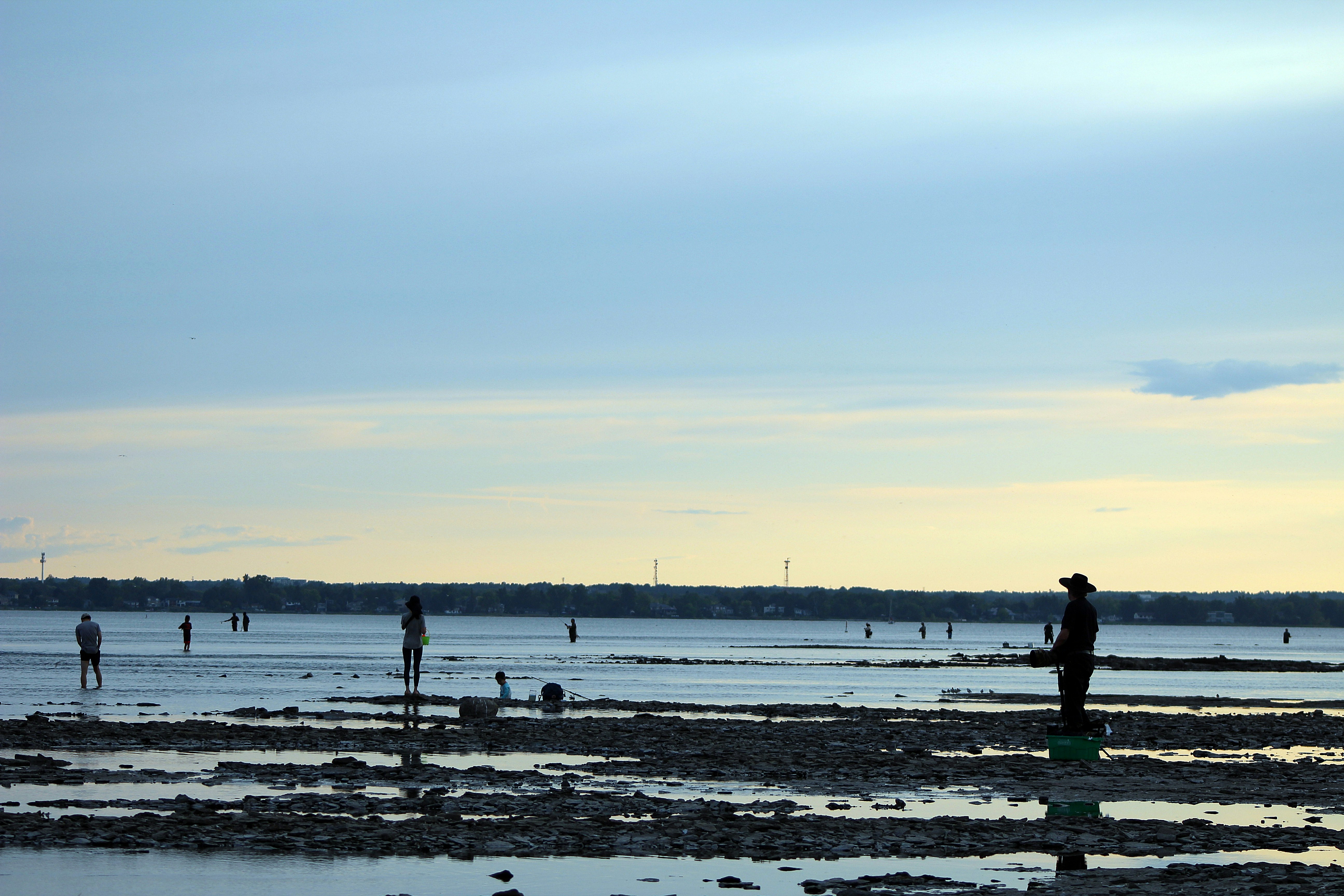 Tide's Embrace: A Dance of Shadows and Light