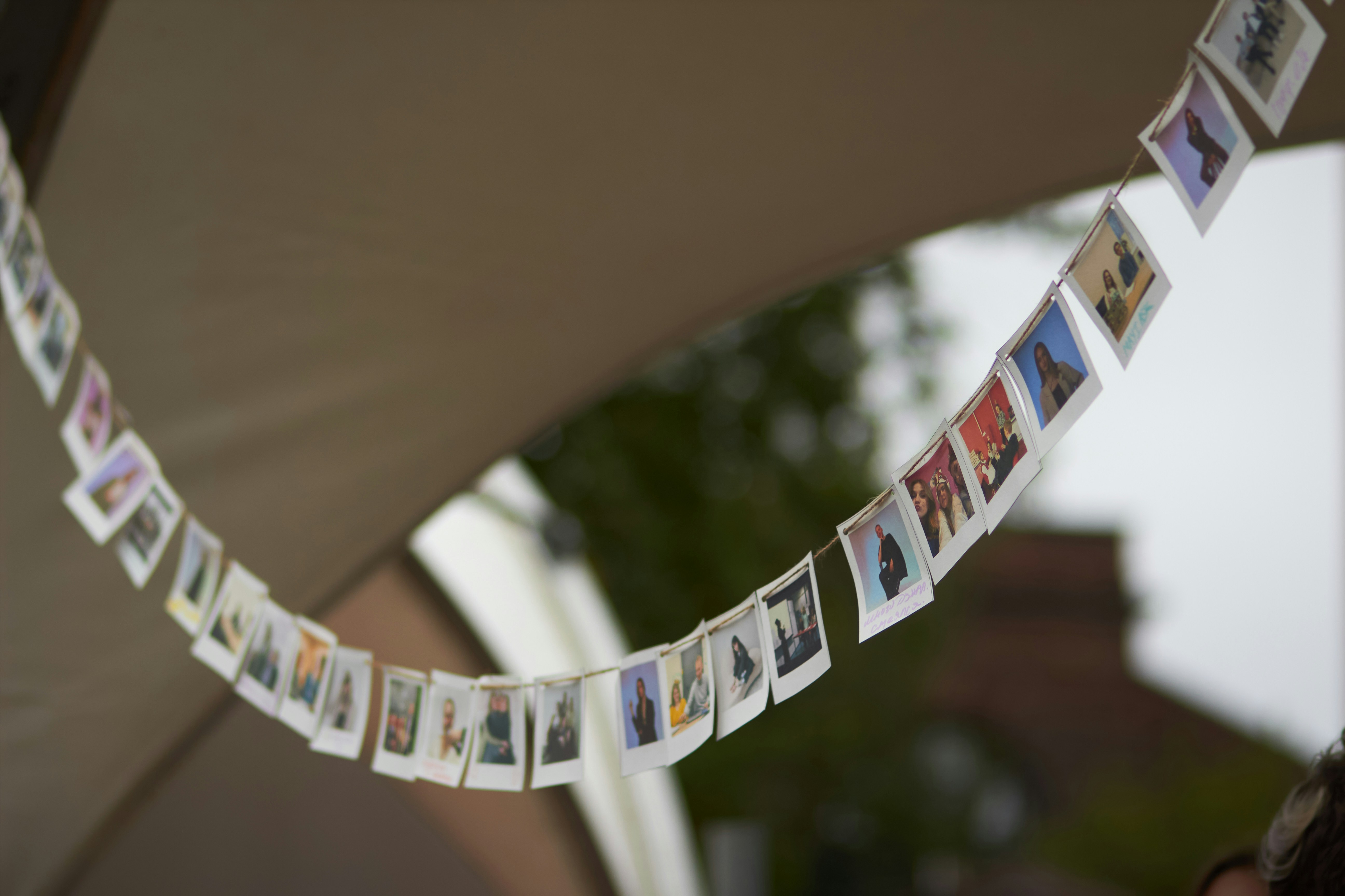 Moments in Focus: A Gallery of Memories