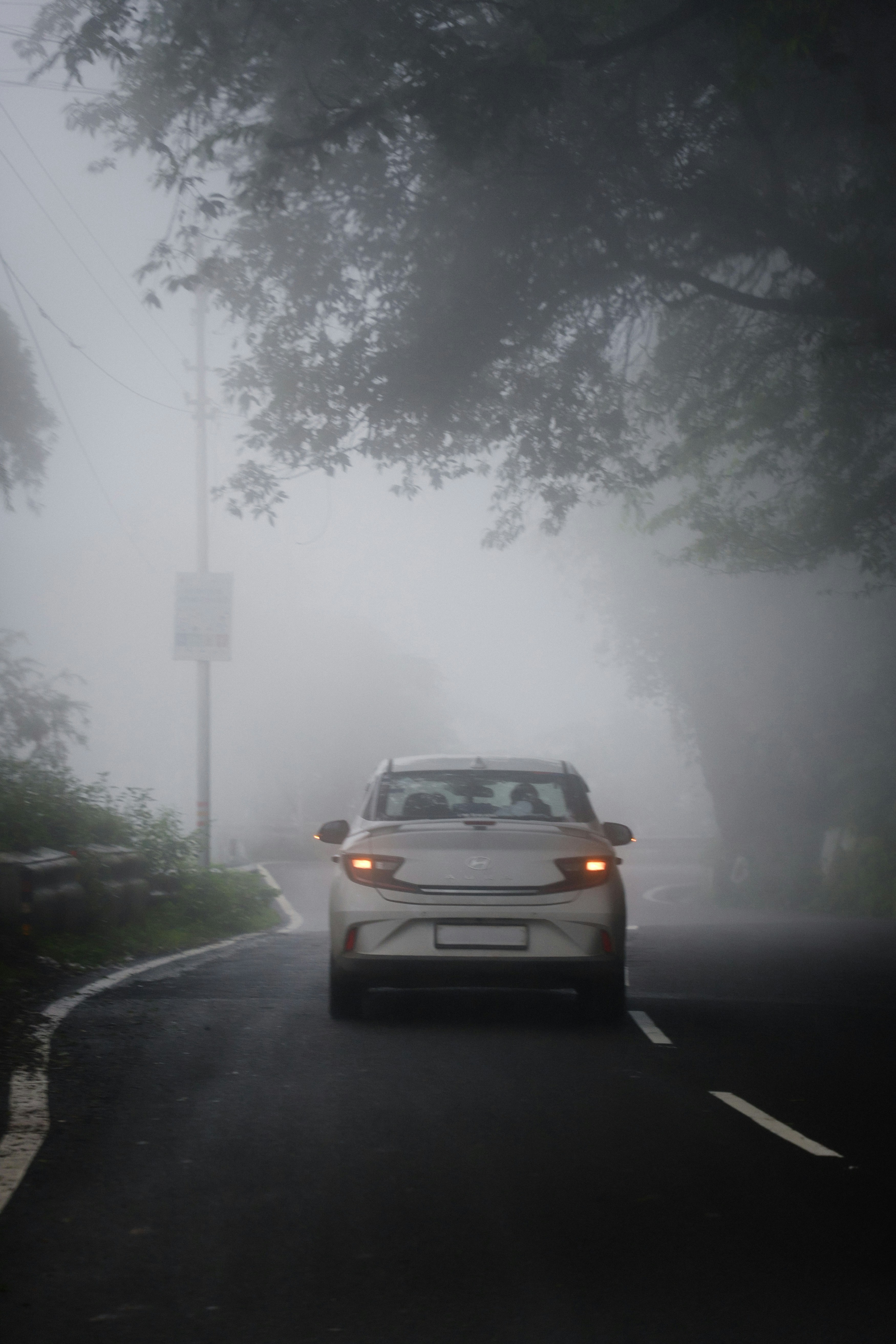 Journey Through the Veil of Mist