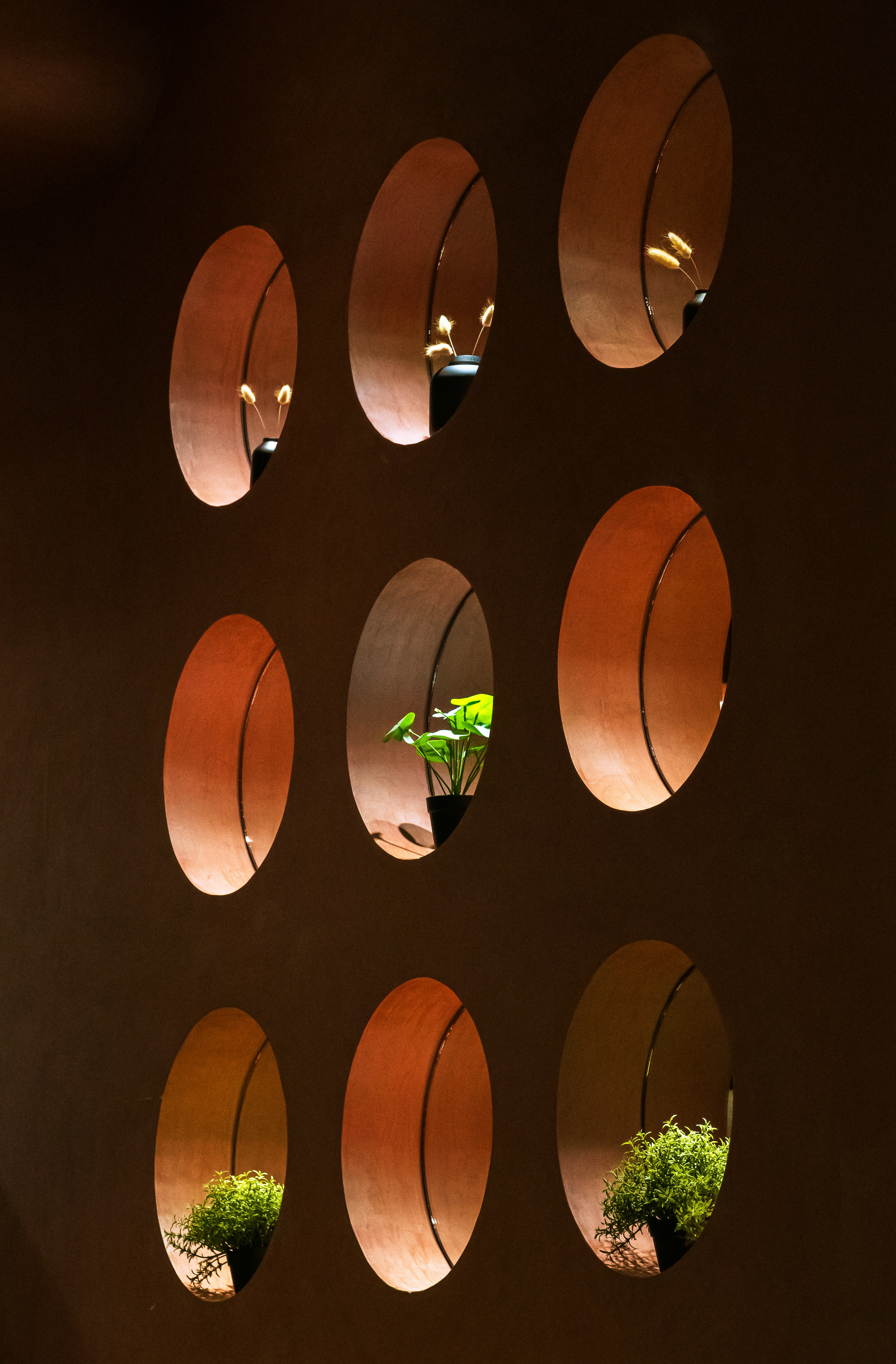 Circular Embrace: Nature's Touch in Urban Design