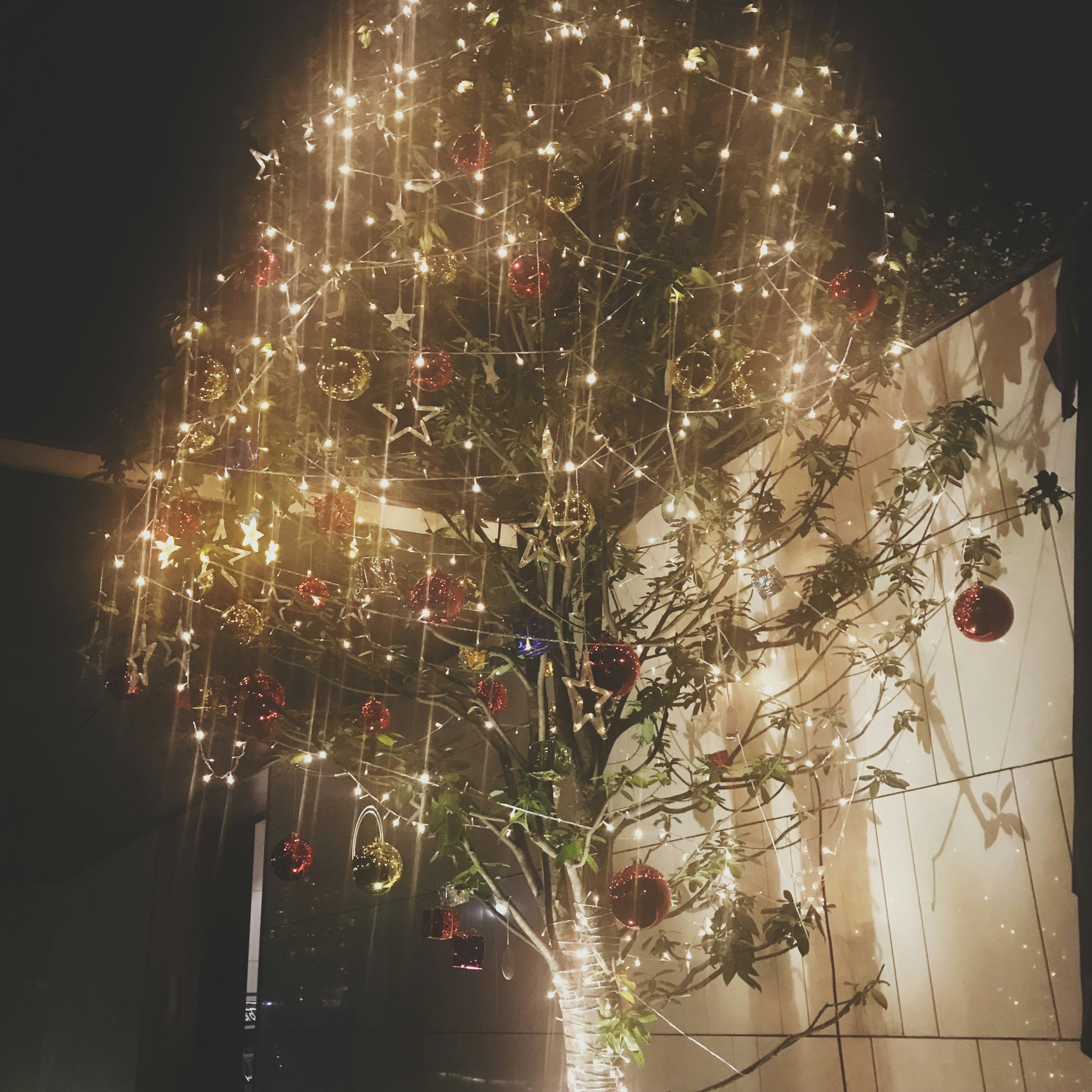 Christmas tree | A tree decorated with christmas lights and ornaments.