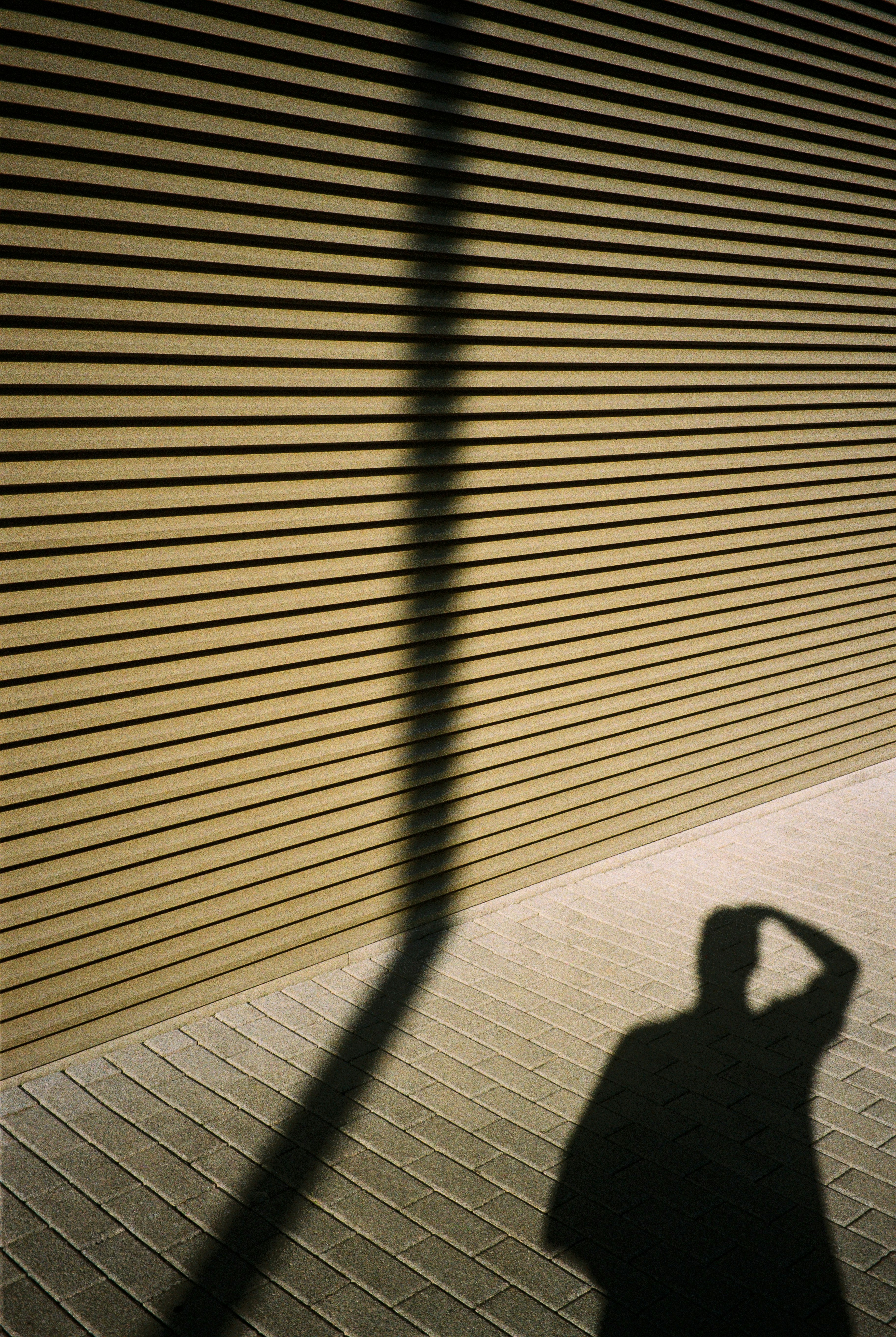 Sample photo from Pentax Espio 70