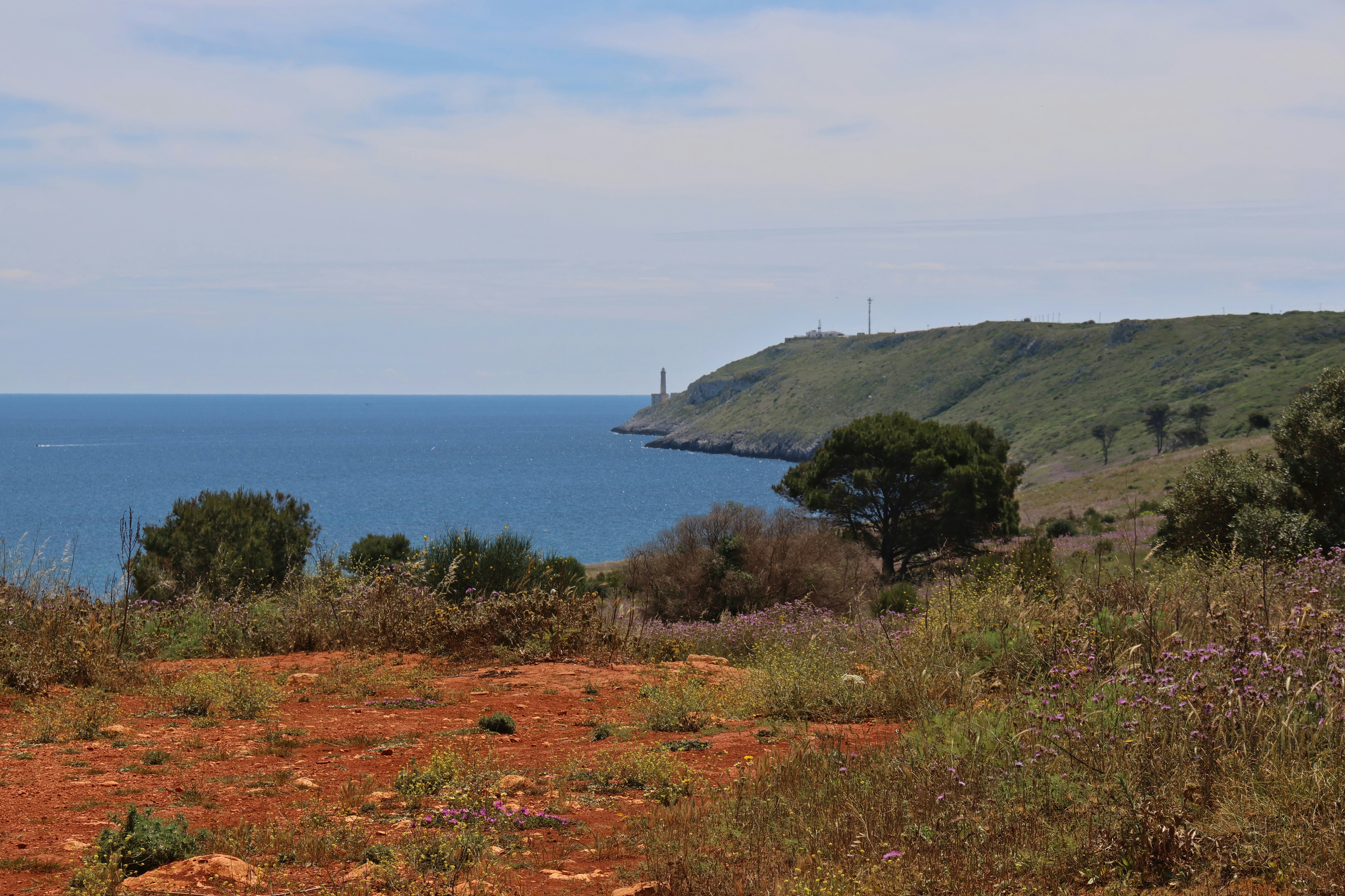 Coastal Serenity: The Beacon by the Sea