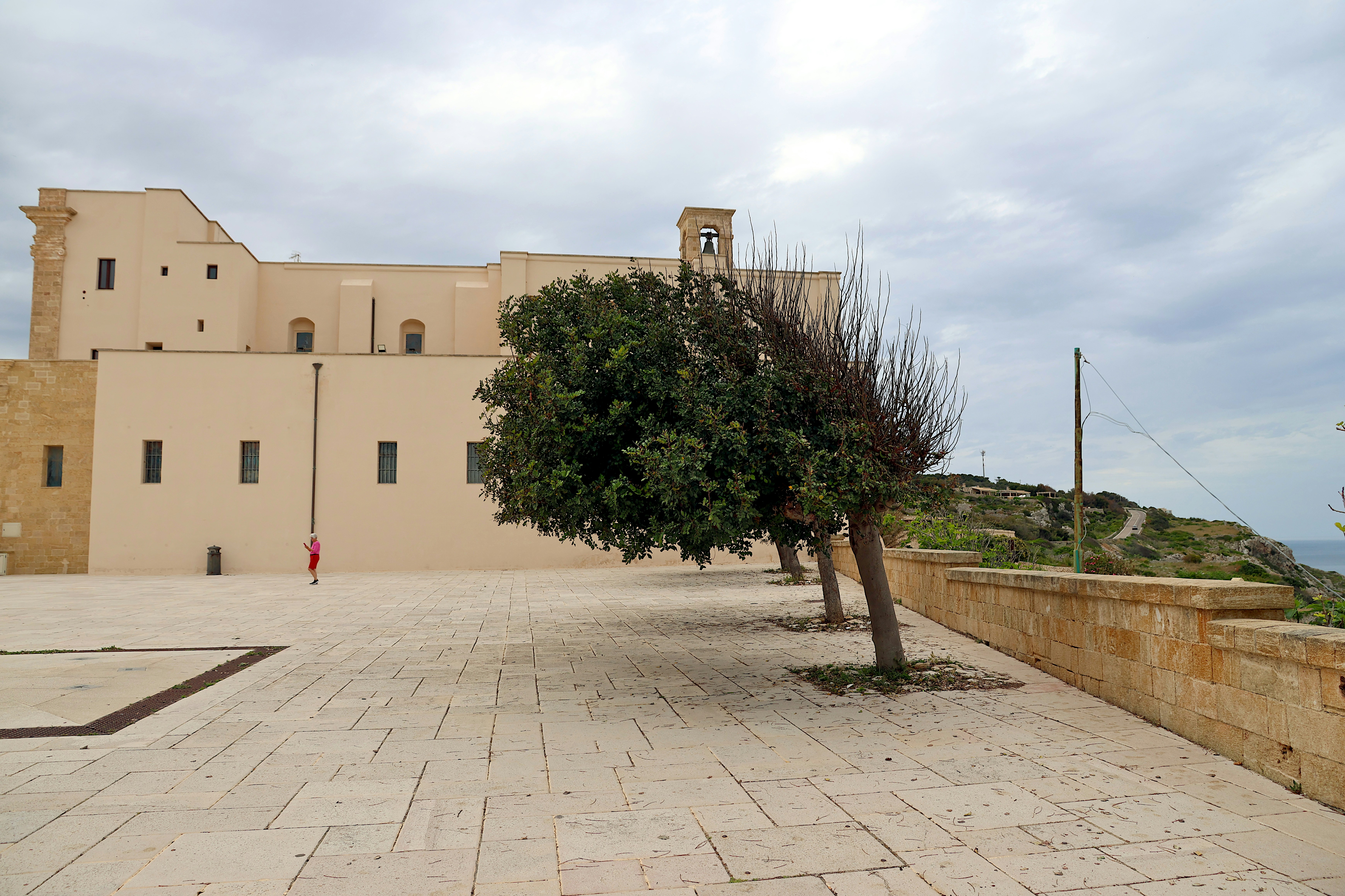 A solitary figure walks through a tranquil courtyard, framed by a unique tree and historic architecture. The scene evokes a sense of peaceful solitude.