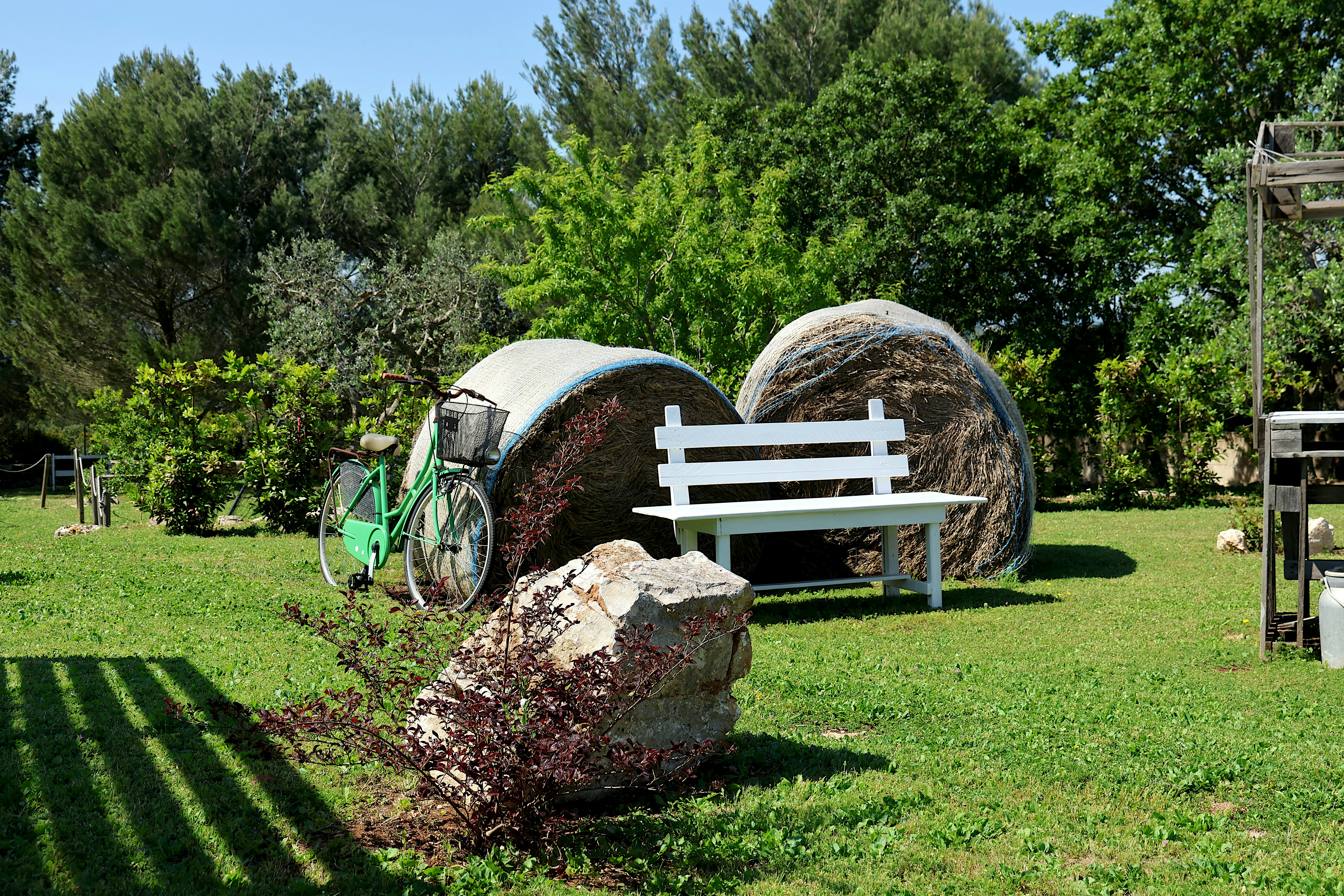 Whimsical Retreat: A Green Haven of Relaxation