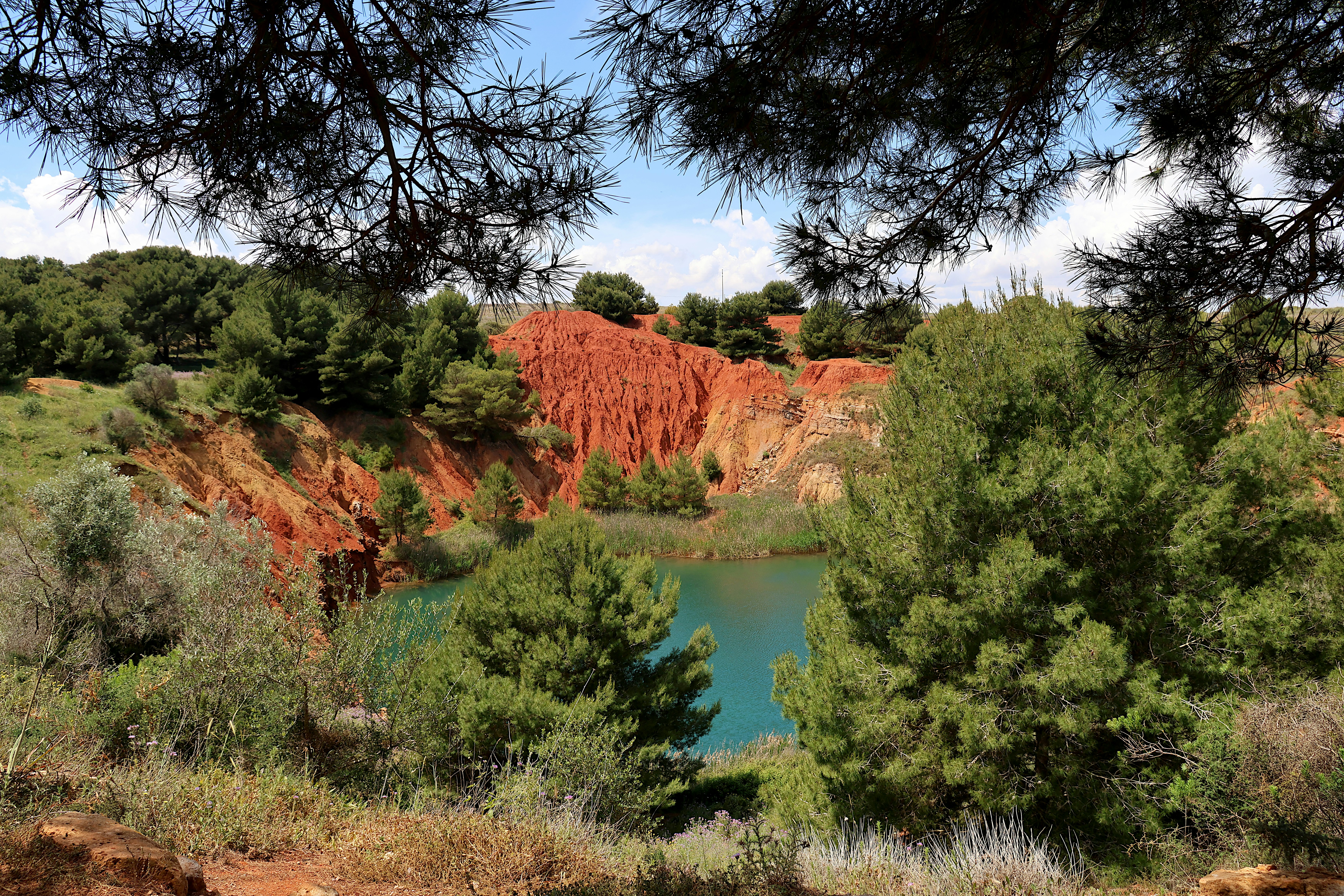 Turquoise lake in a red clay quarry surrounded by trees photo – Free ...
