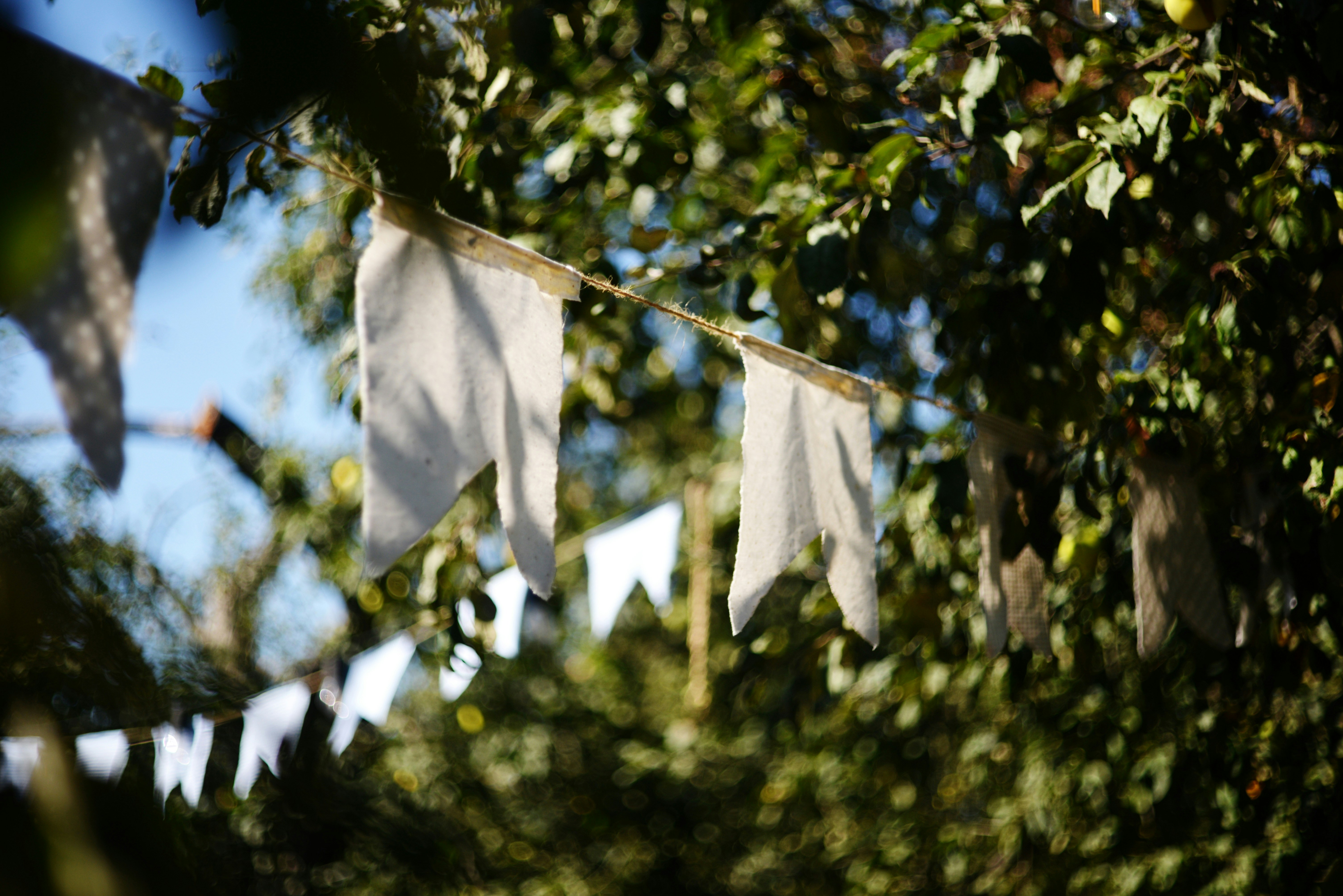 White flags strung on a line between trees