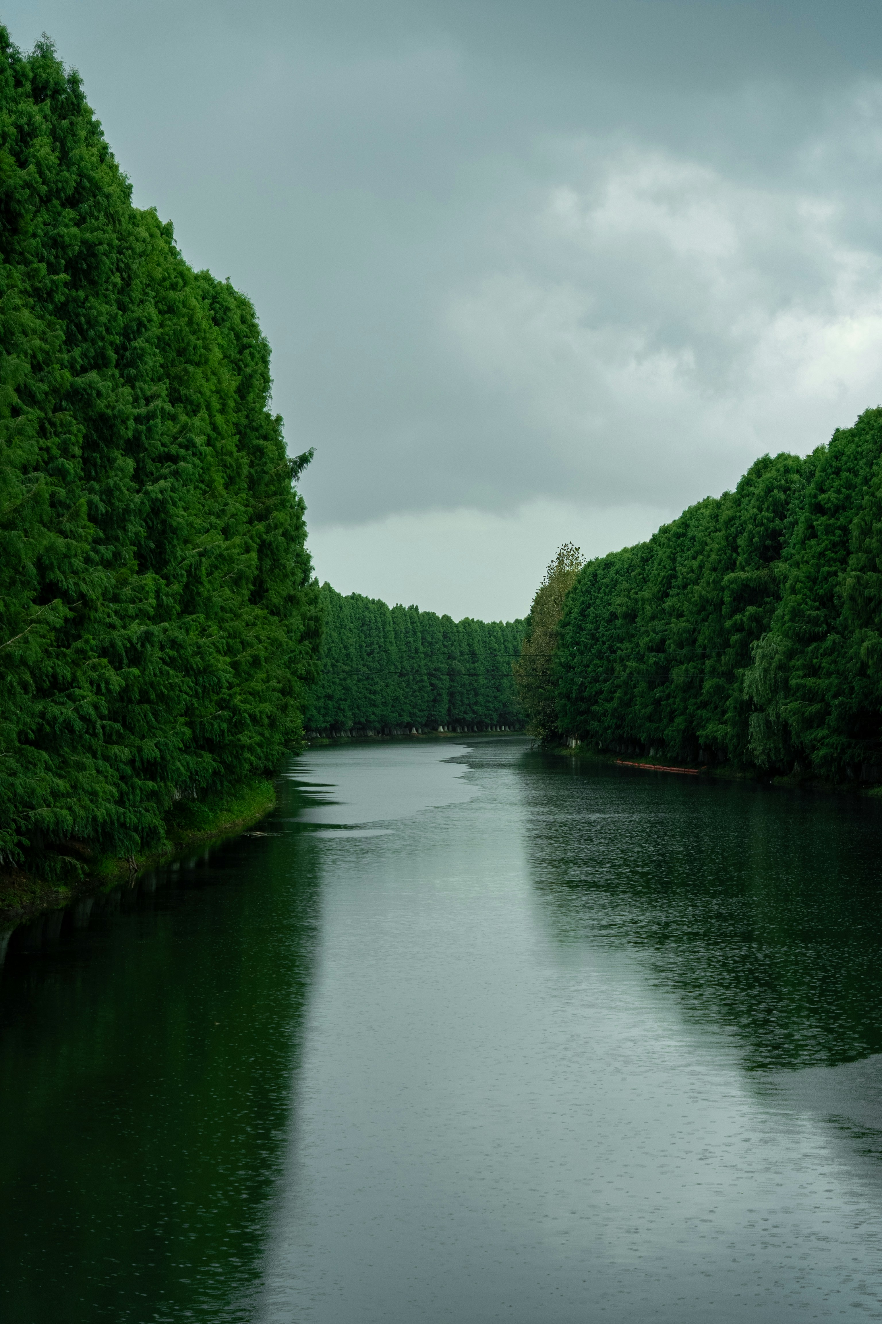 Whispers of Tranquility: A Serene Waterway