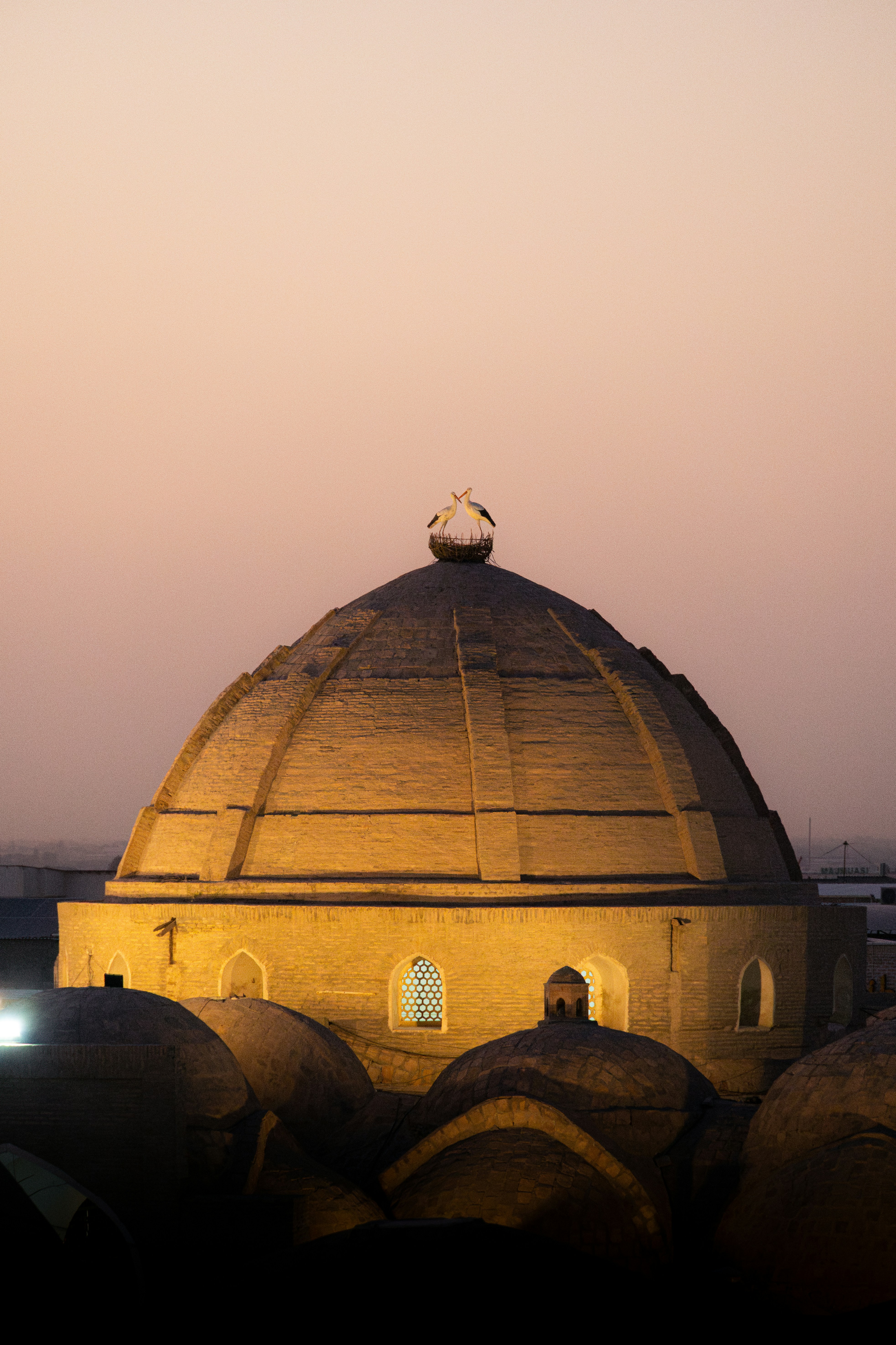 Large domed building illuminated at dusk photo – Free Sunset Image on ...