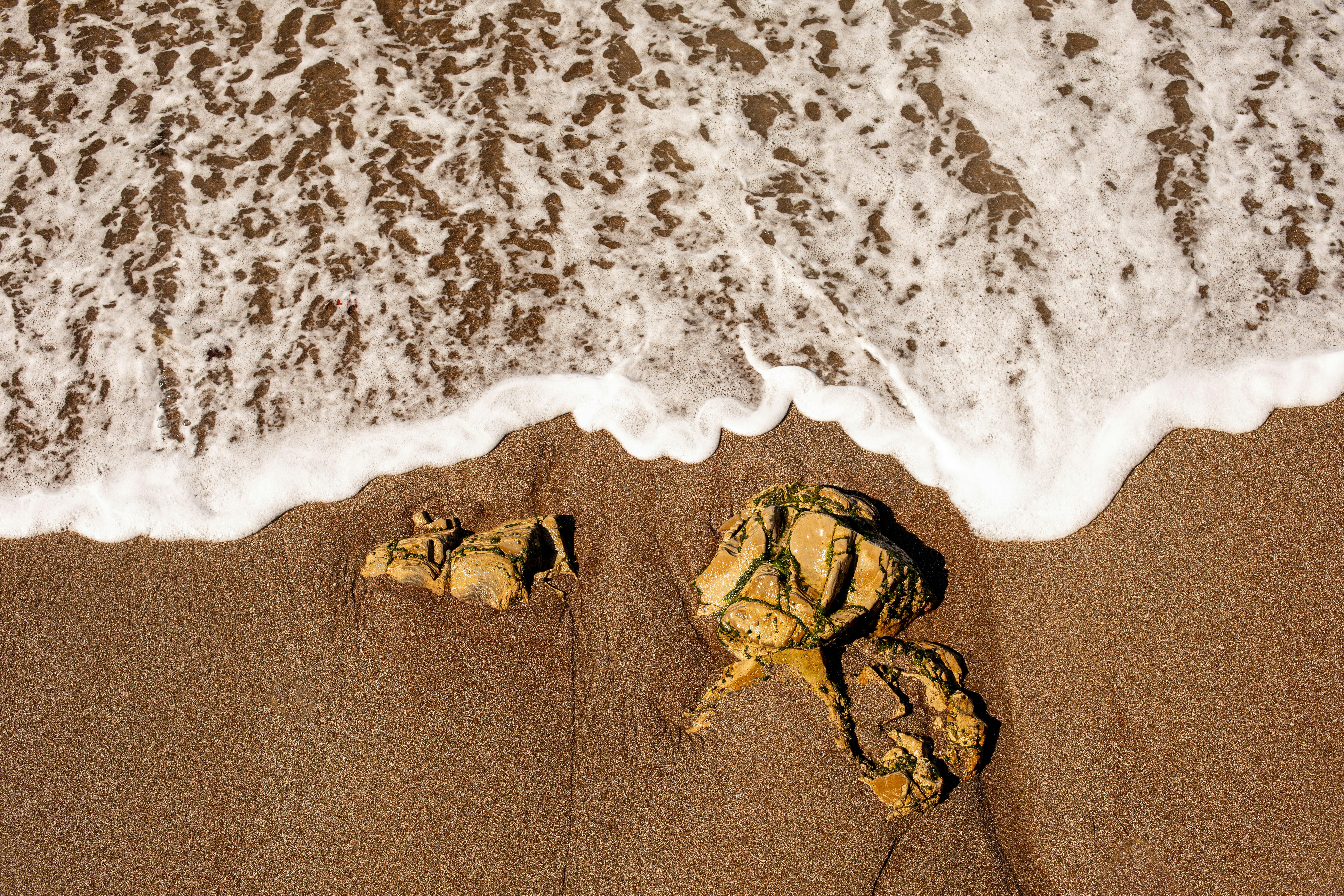 Nature's Sculptures: The Dance of Rock and Wave