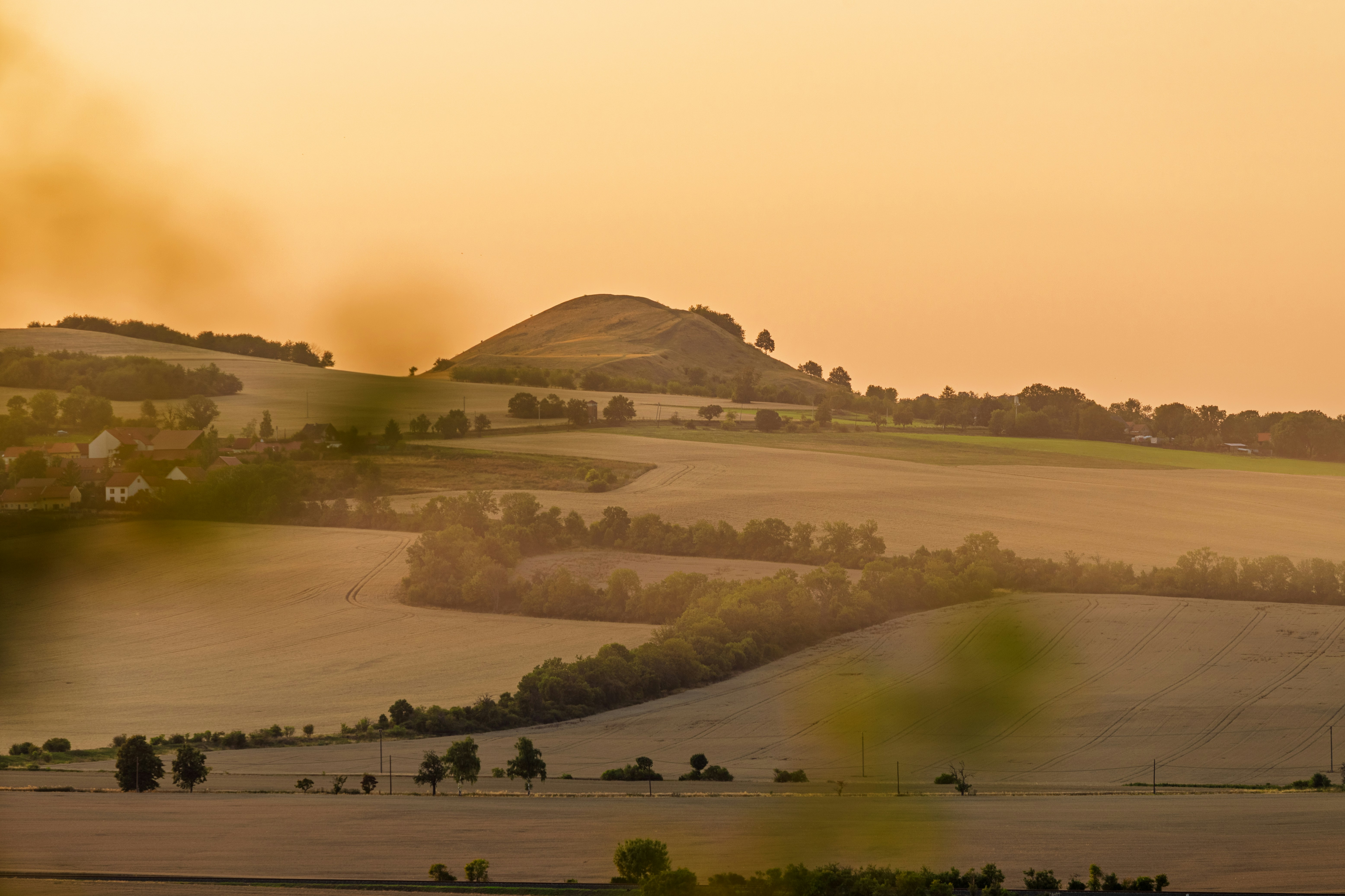 Whispers of the Golden Horizon