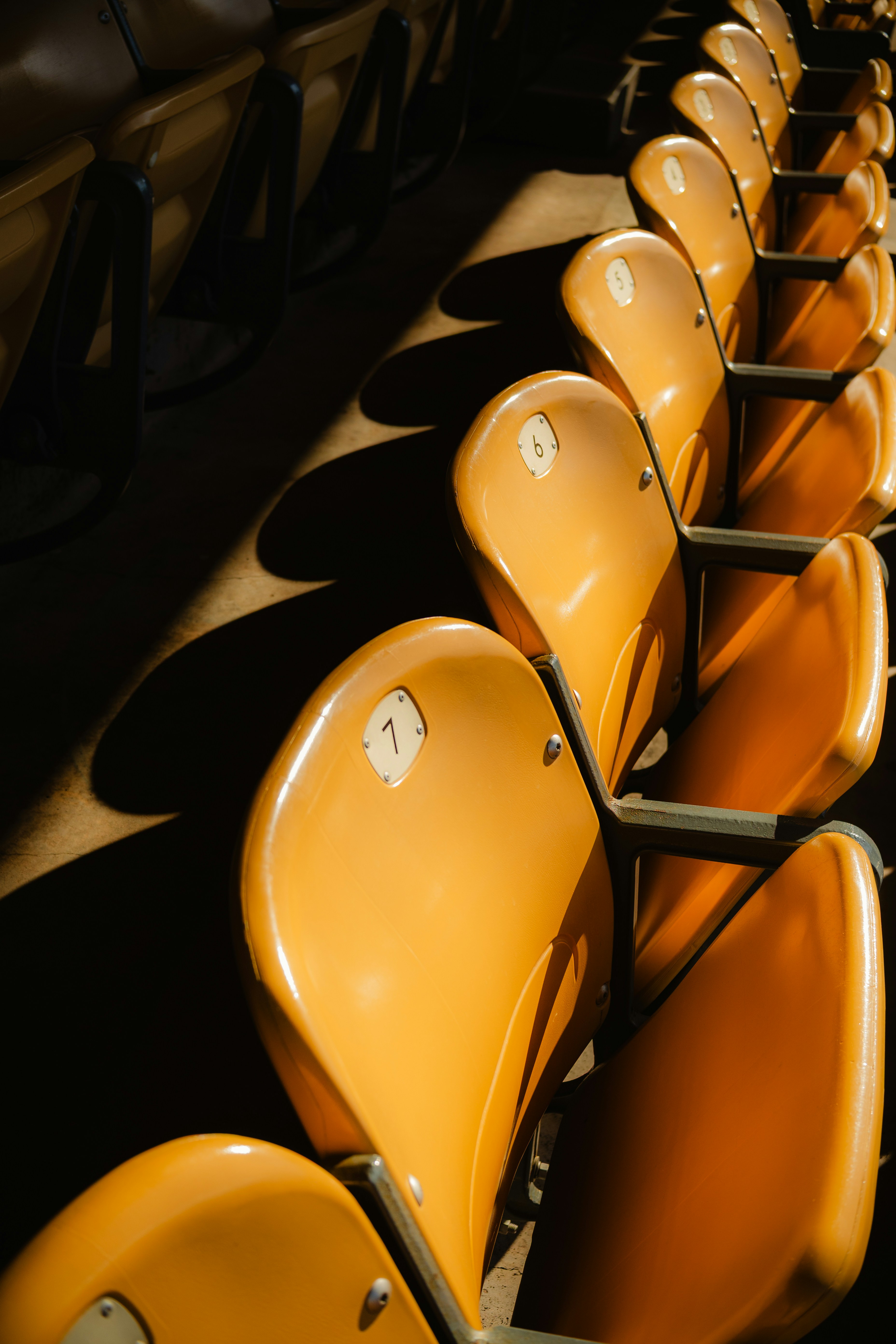 Rows of bright yellow stadium seats cast in shadows, evoking a sense of waiting and anticipation for the next event.