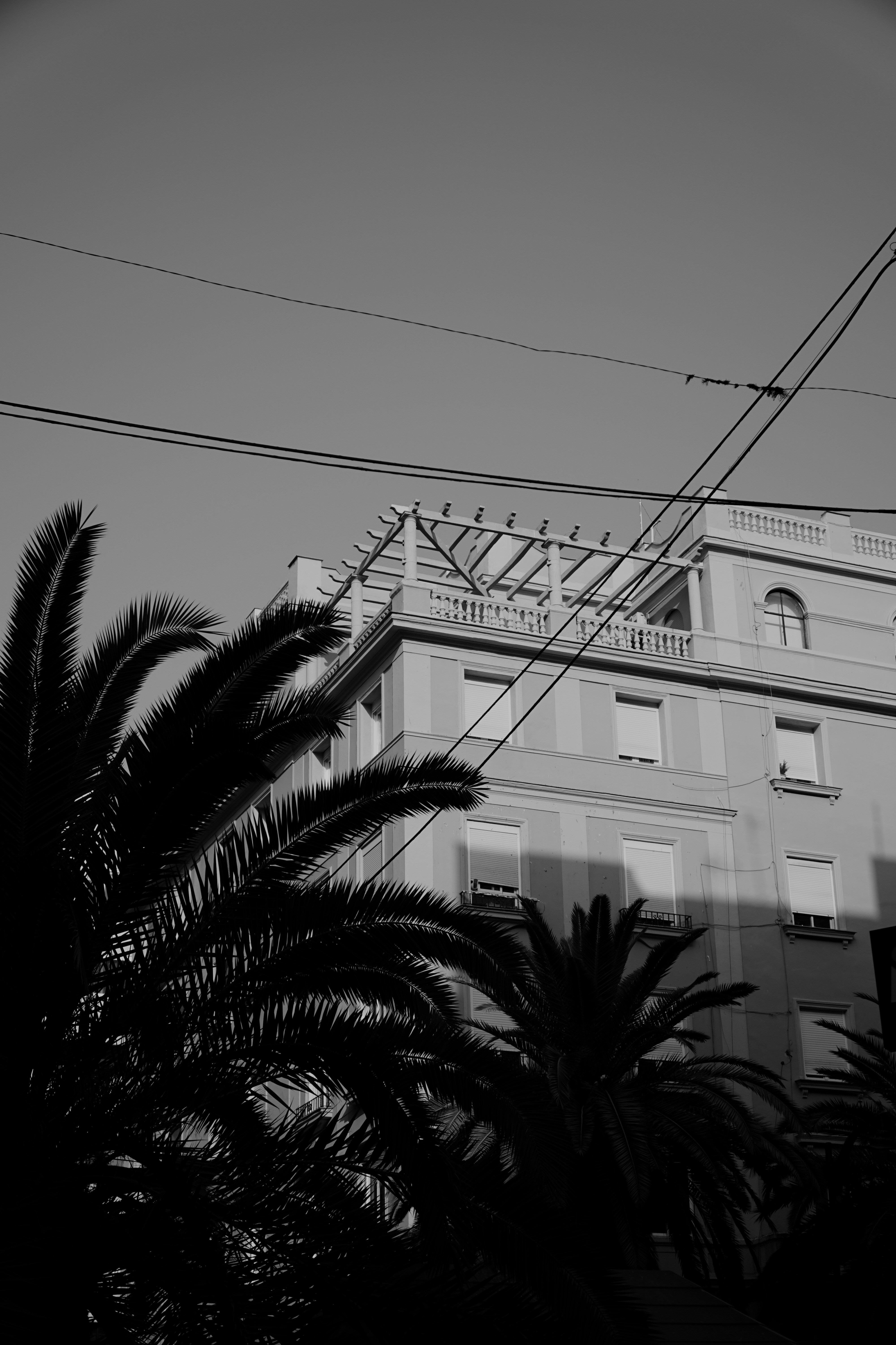 Urban Shadows: A Dance of Light and Nature
