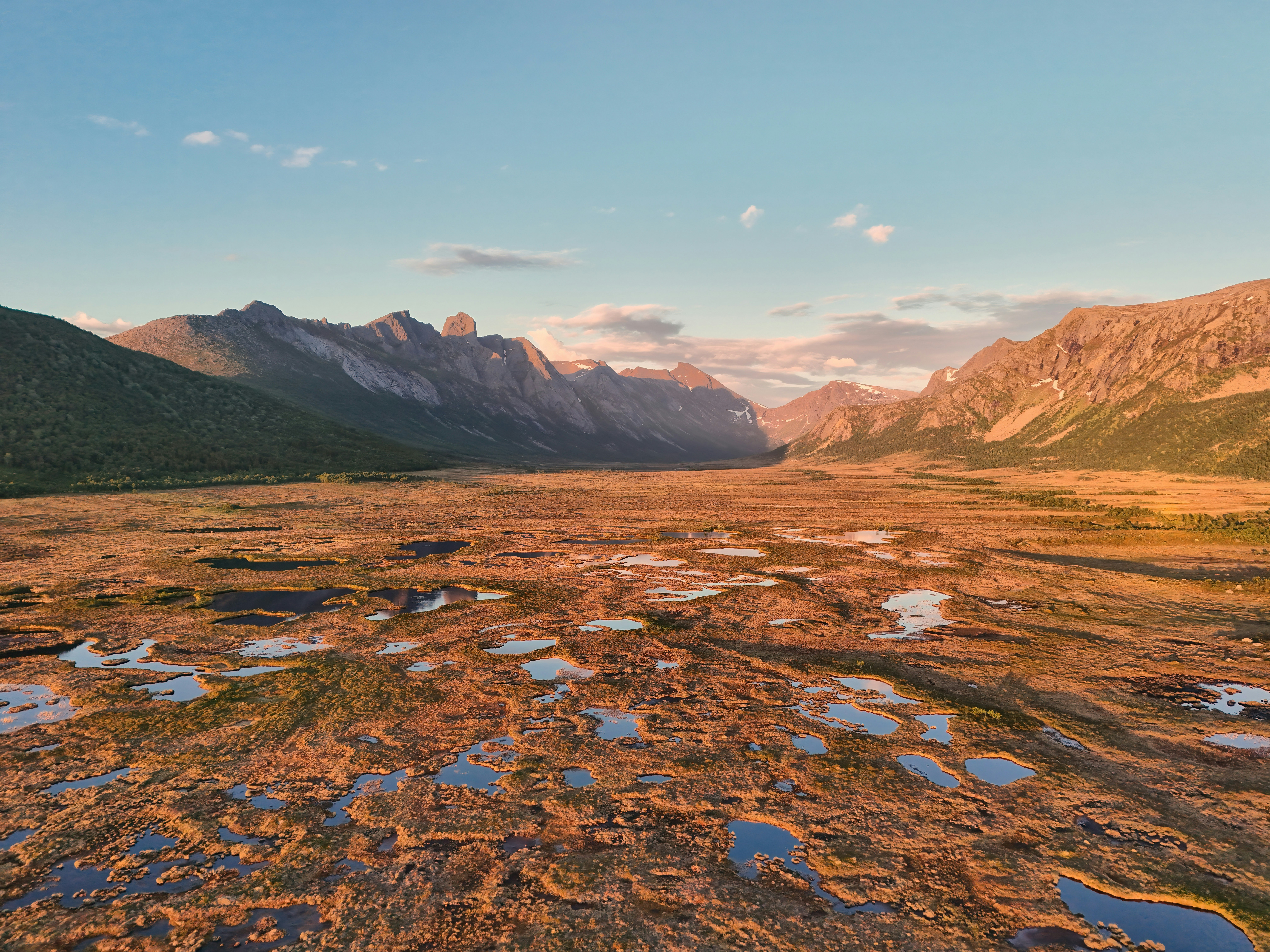 Whispers of the Wilderness: A Tapestry of Terrain