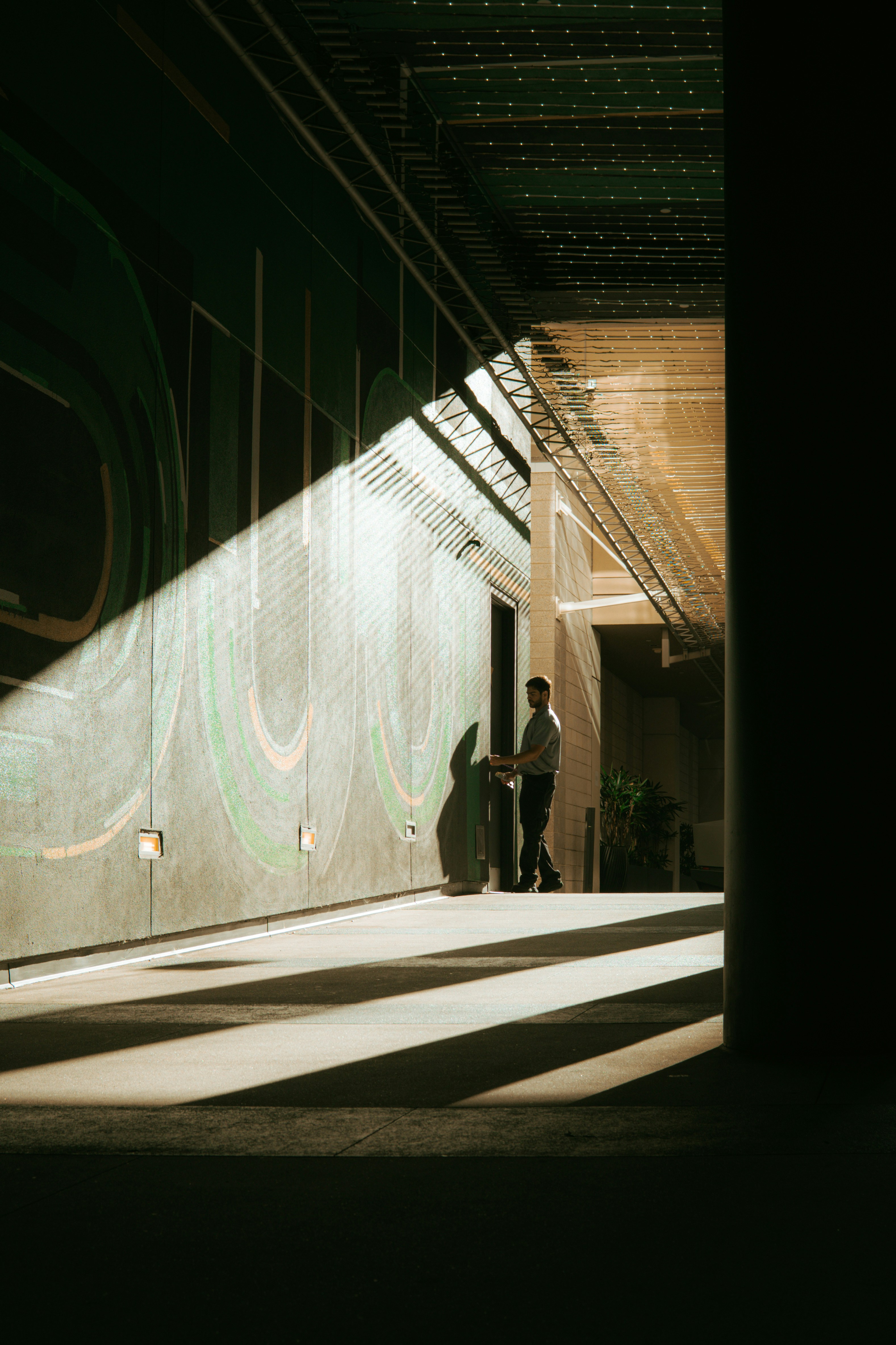 Emerging from Shadows: A Moment of Transition