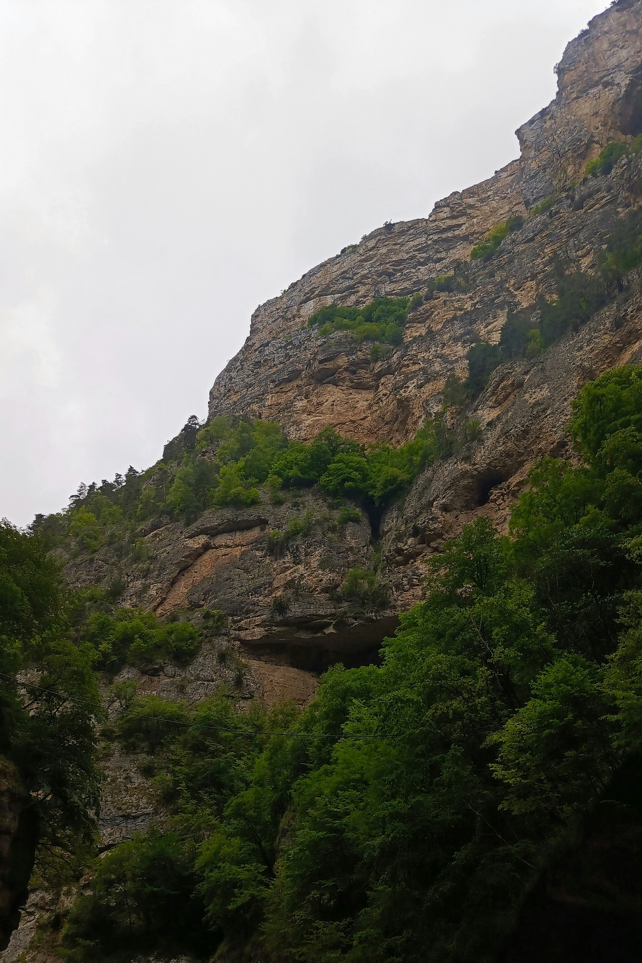 Steep rocky cliffs with green trees below