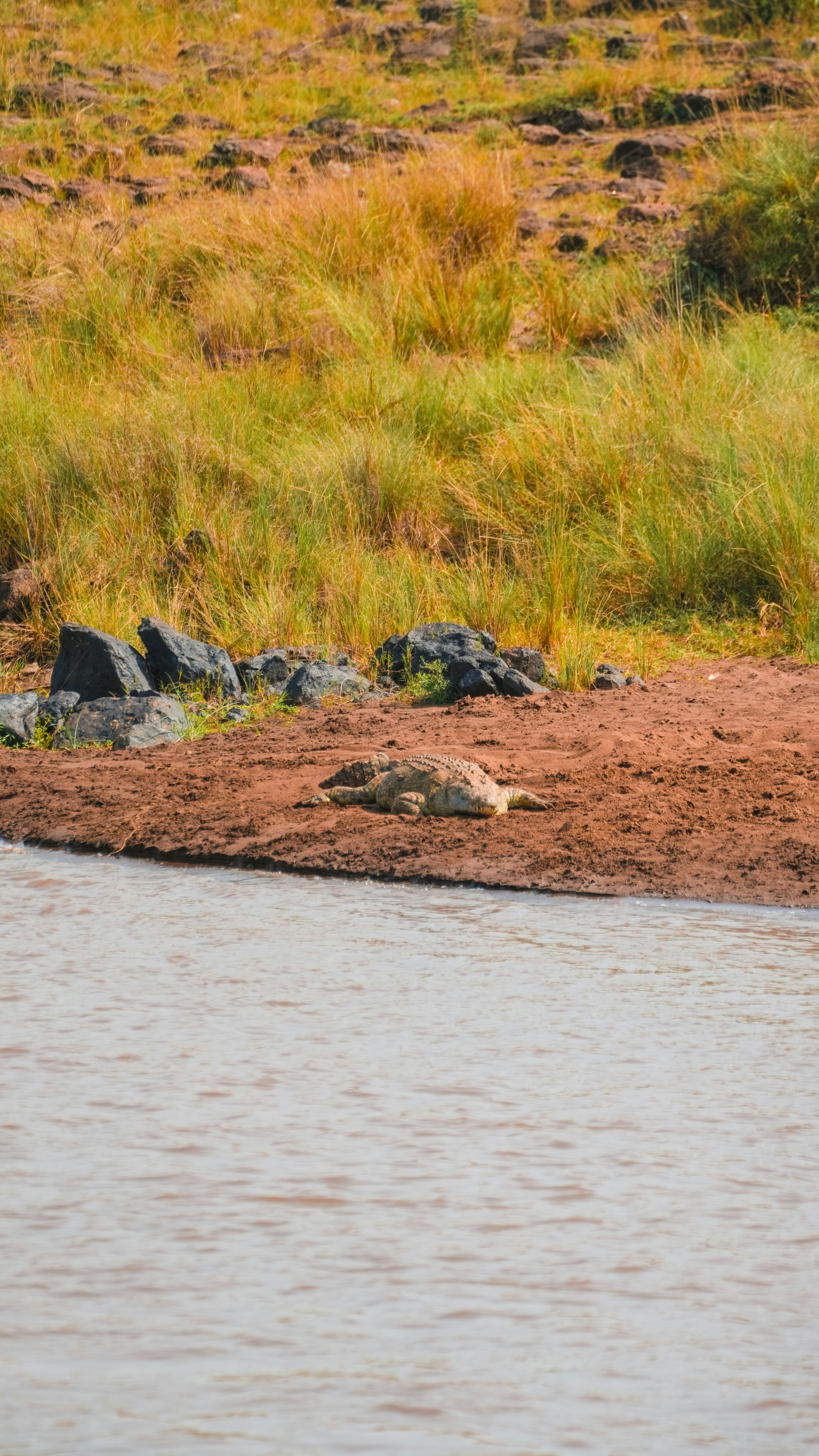 Serene Repose by the Water's Edge
