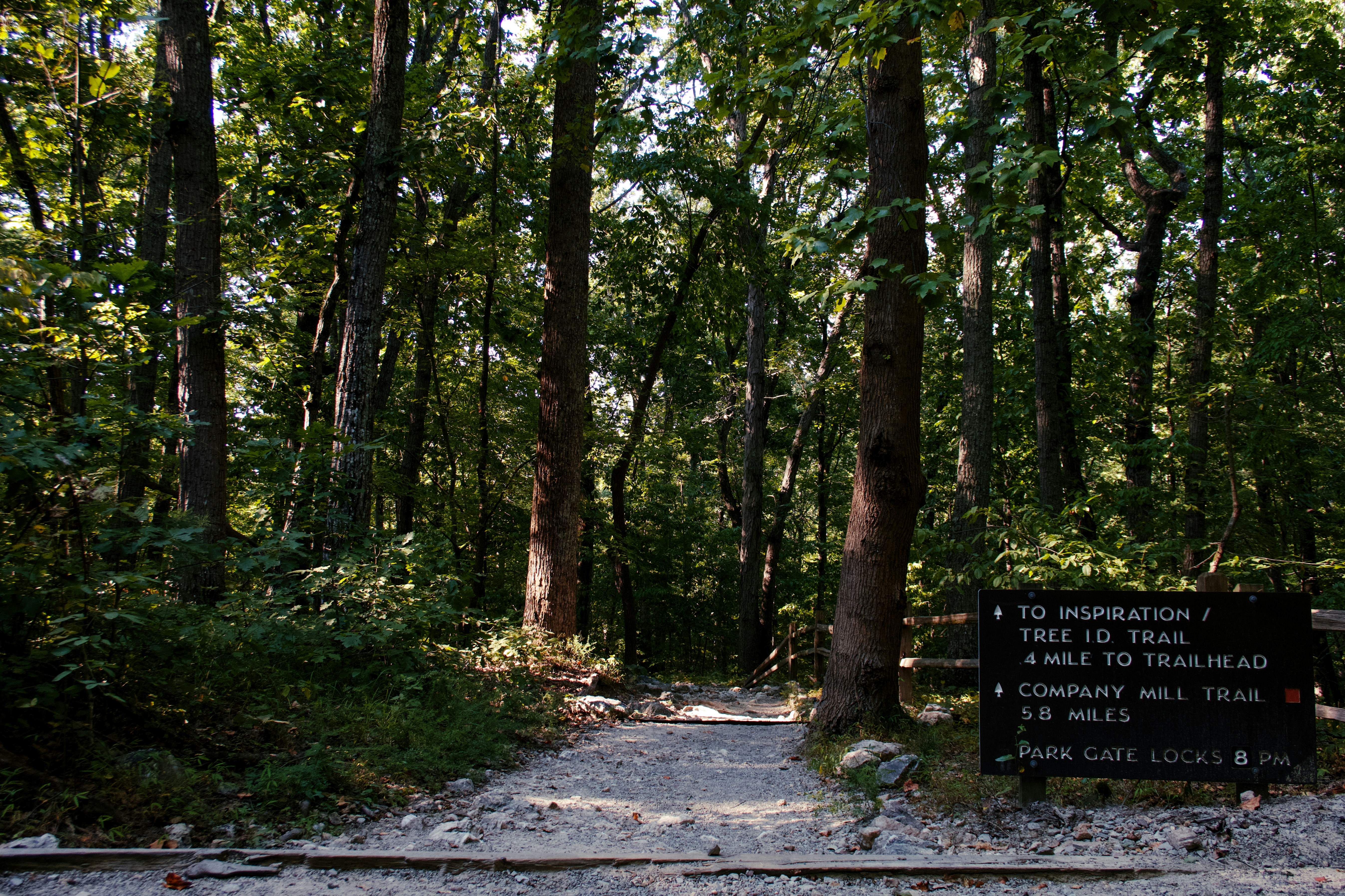 A forest path with trail markers photo – Free United states Image on ...