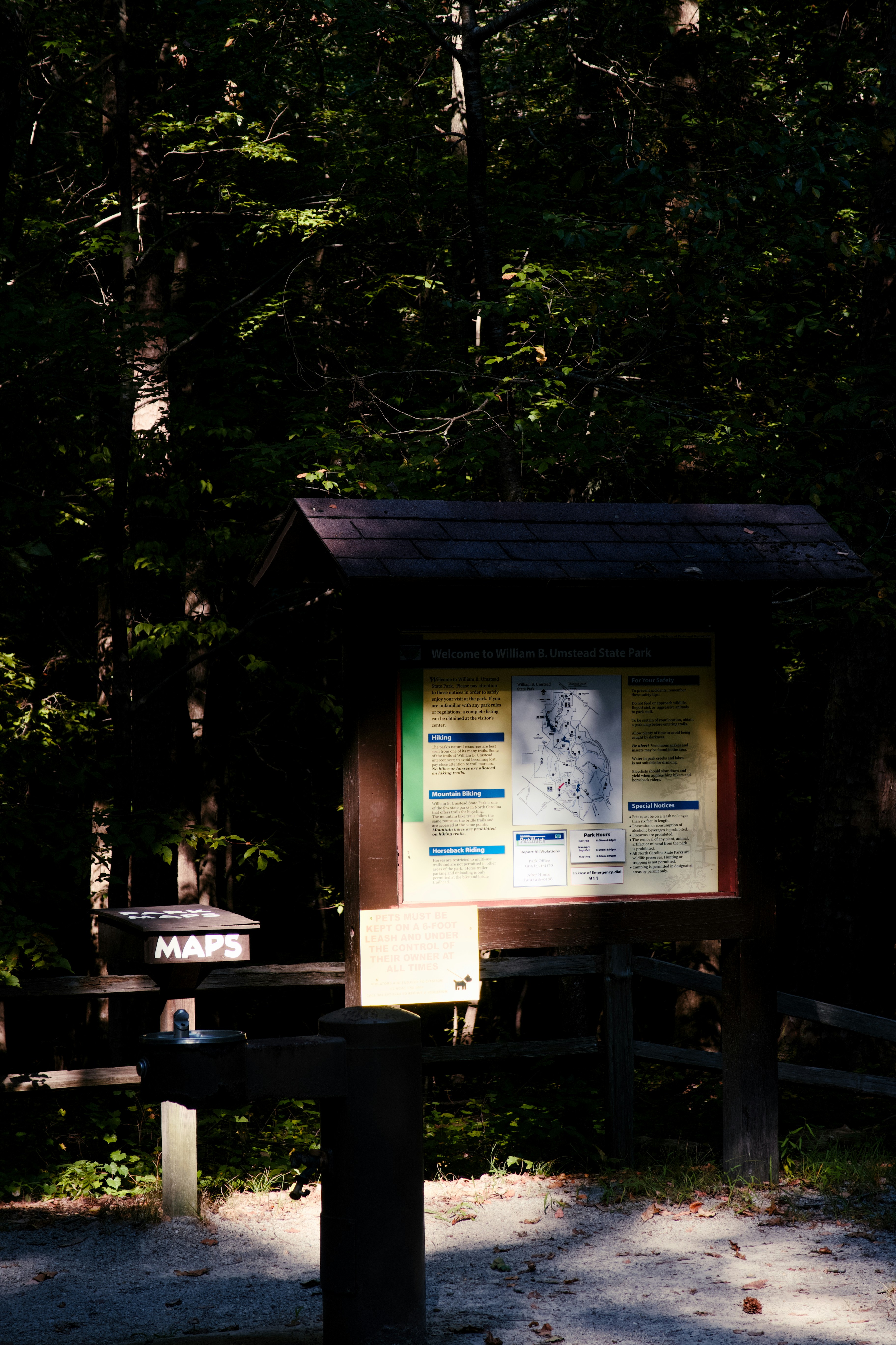 Information board at William B. Umstead State Park detailing trails and park features, surrounded by dense forest. 