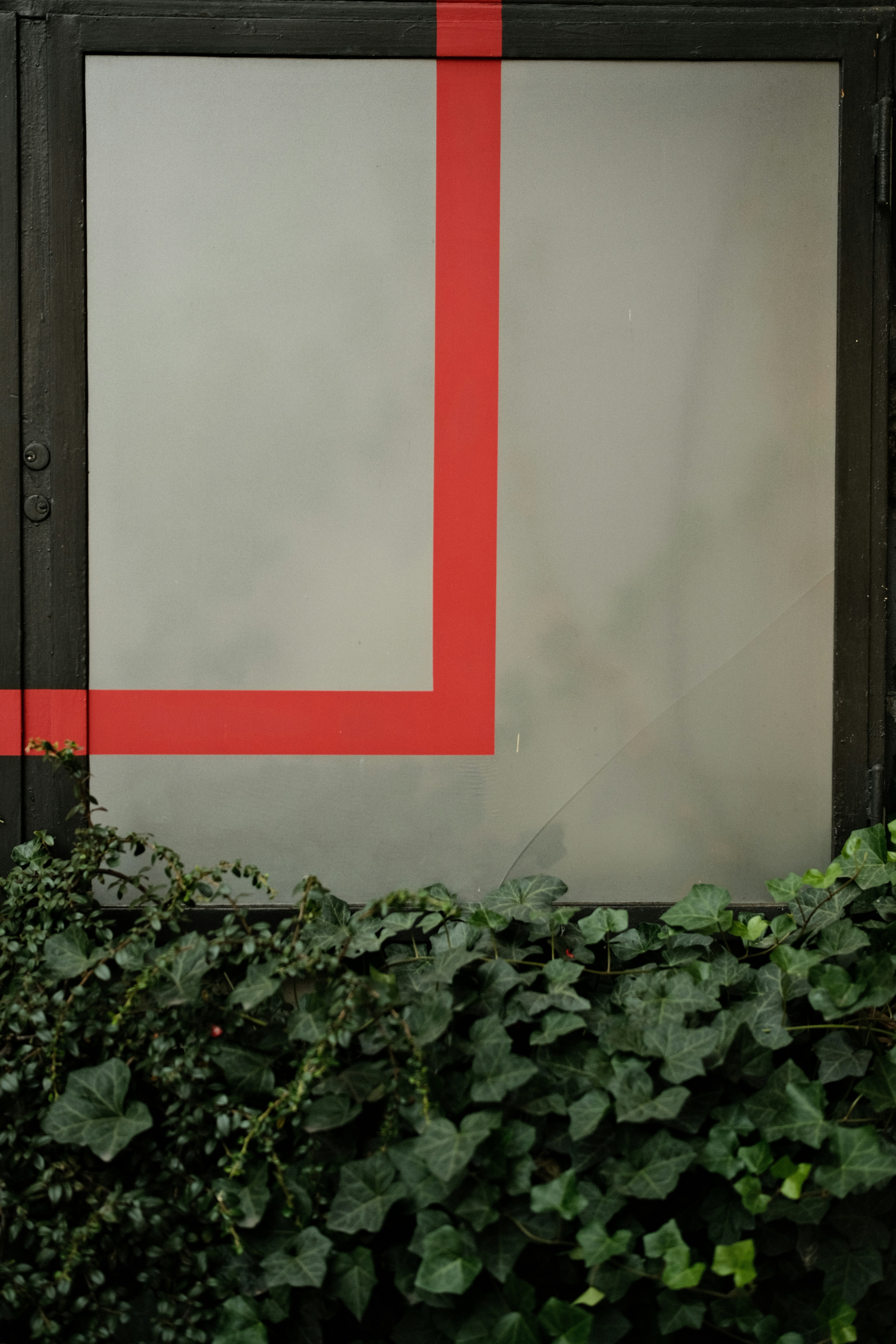 Red line on a window with ivy below | Red l-shape on frosted glass with ivy below