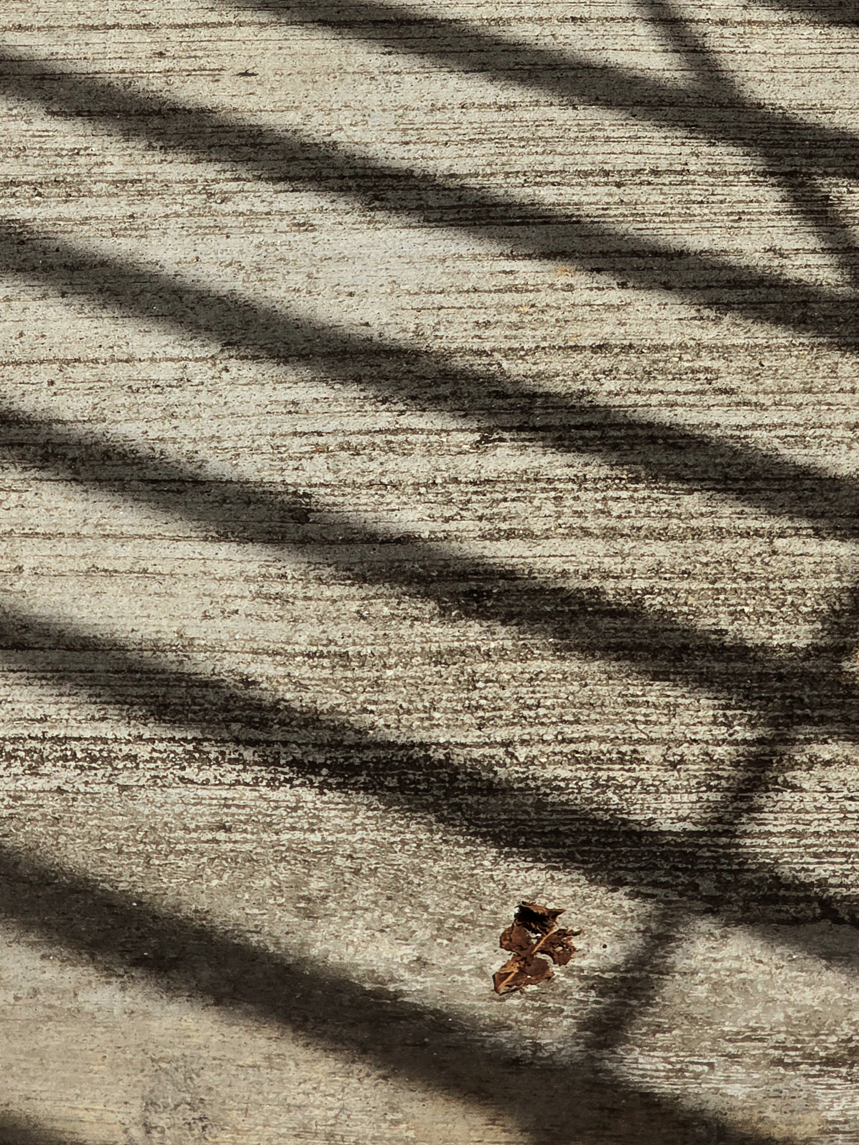 Shadows cast across a textured concrete surface photo – Free Wallpaper ...