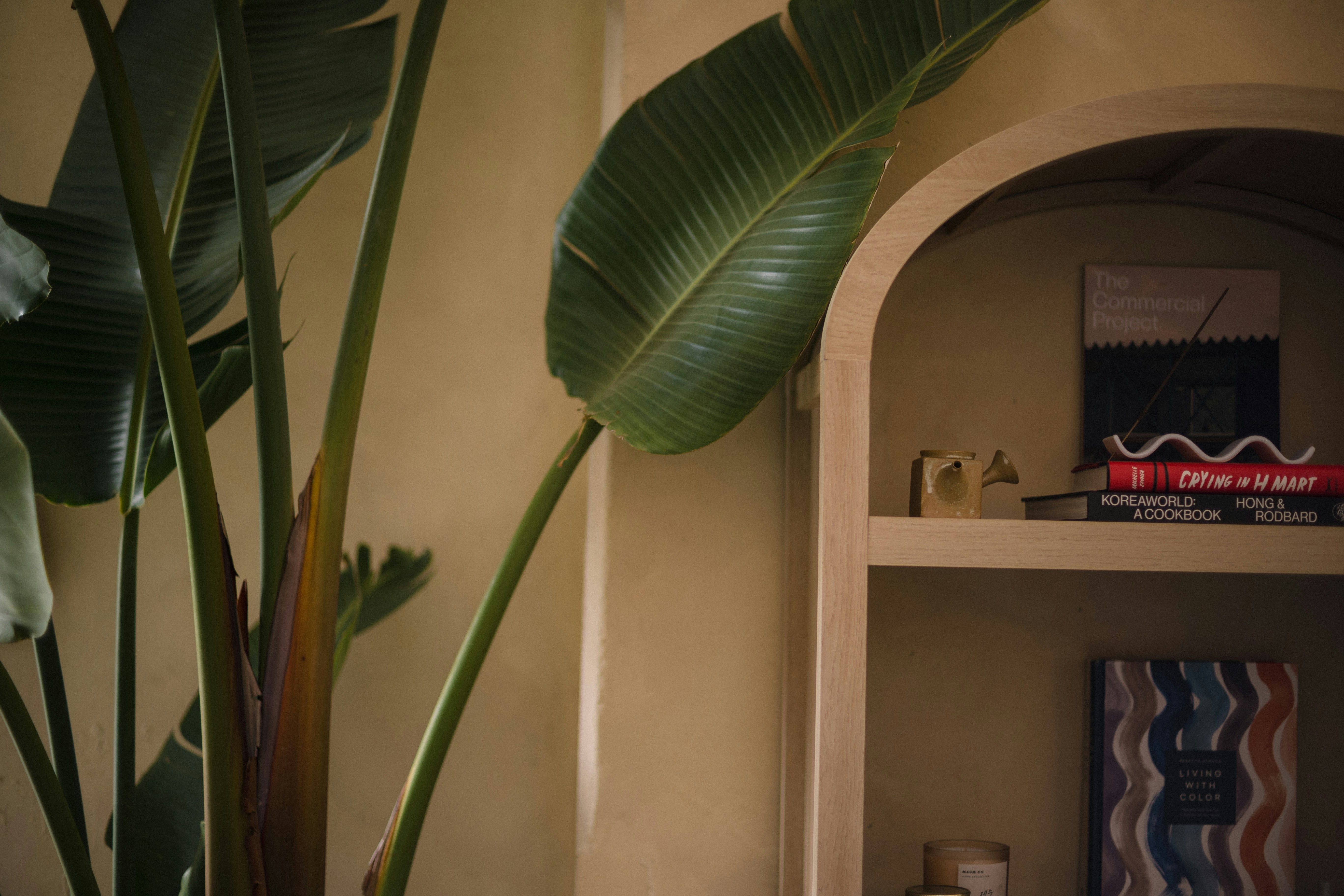 Whispers of Green: A Cozy Nook