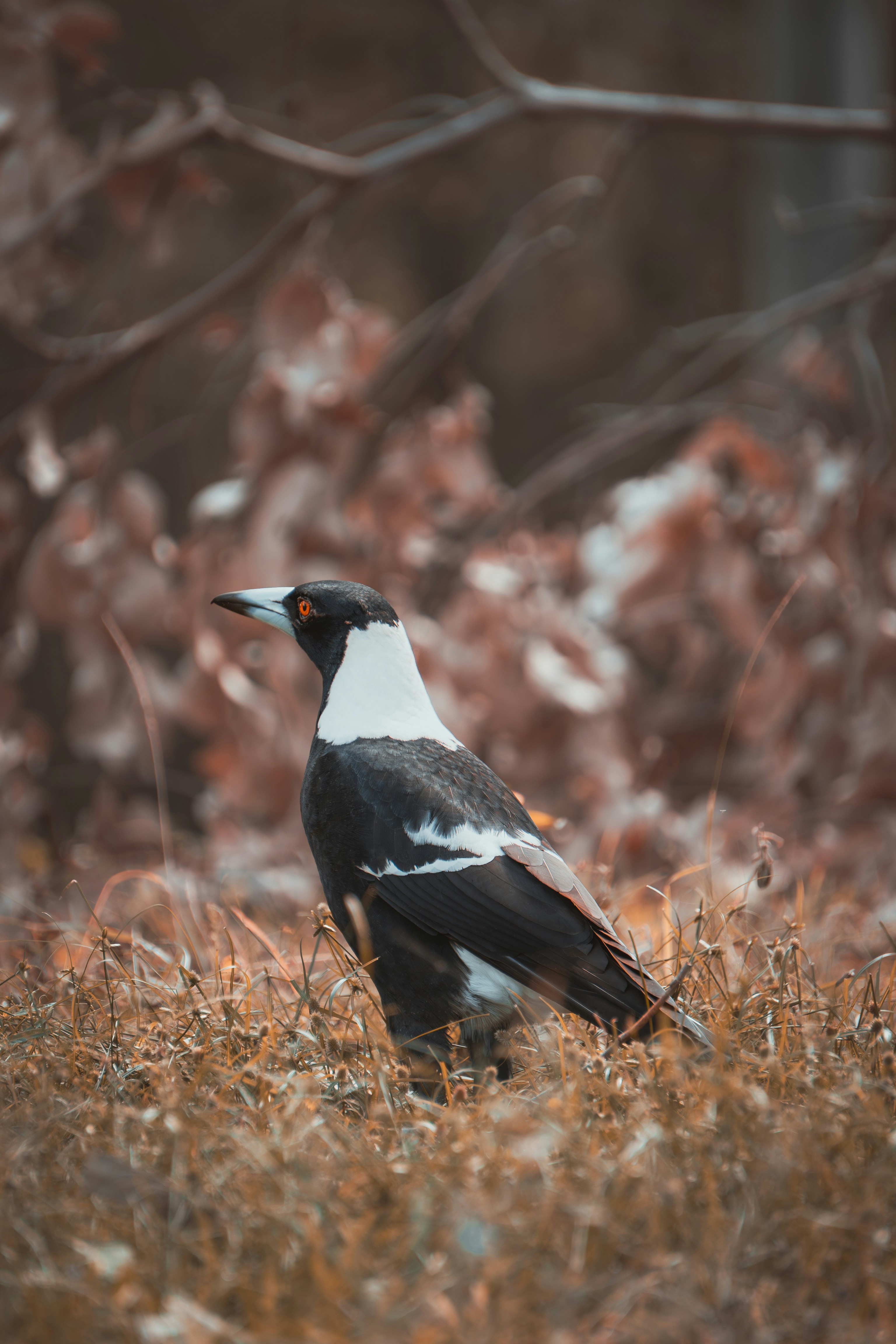 Photo by Pira Productions with Sony Alpha 7C II