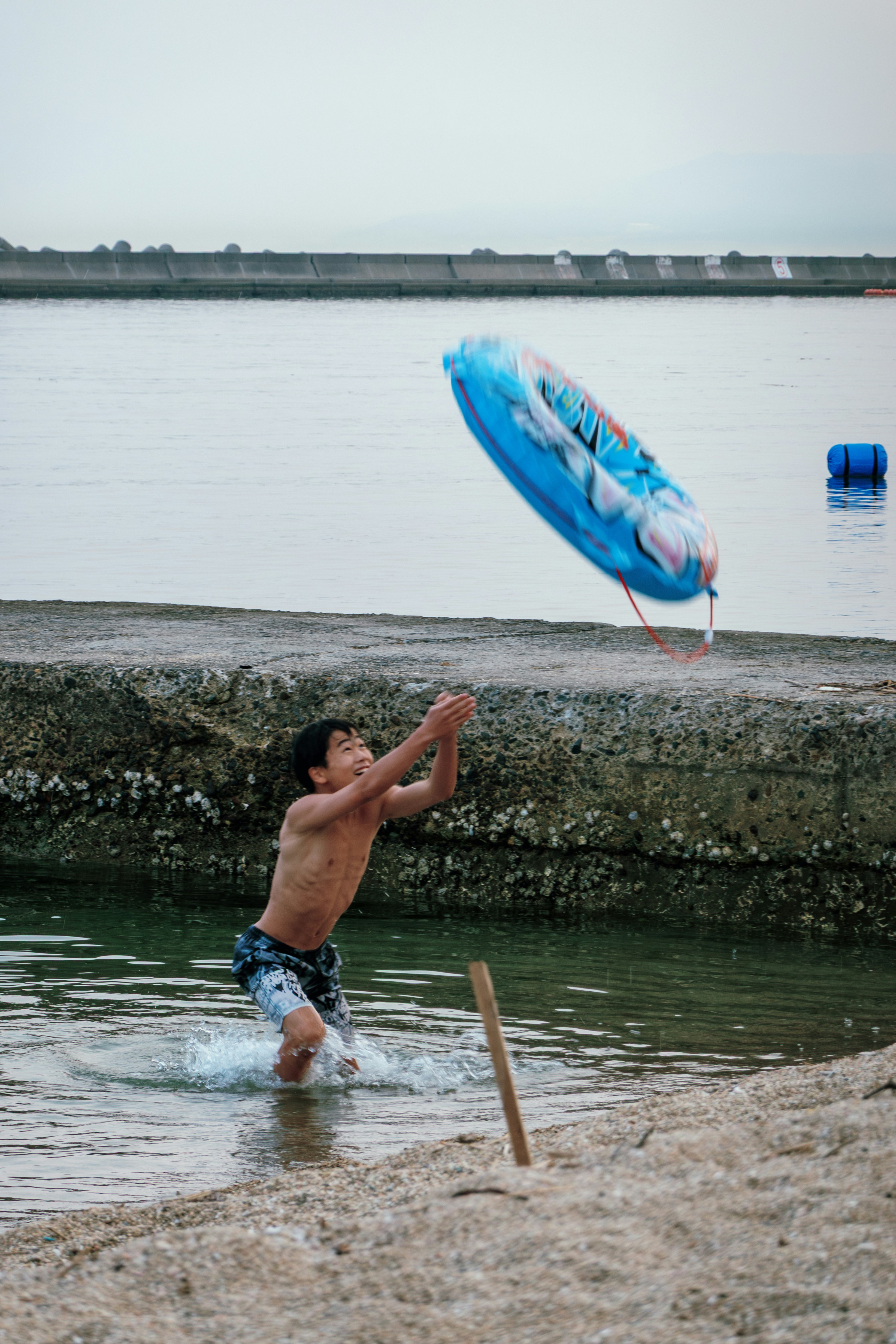 Joyful Splash: A Moment of Playfulness by the Shore