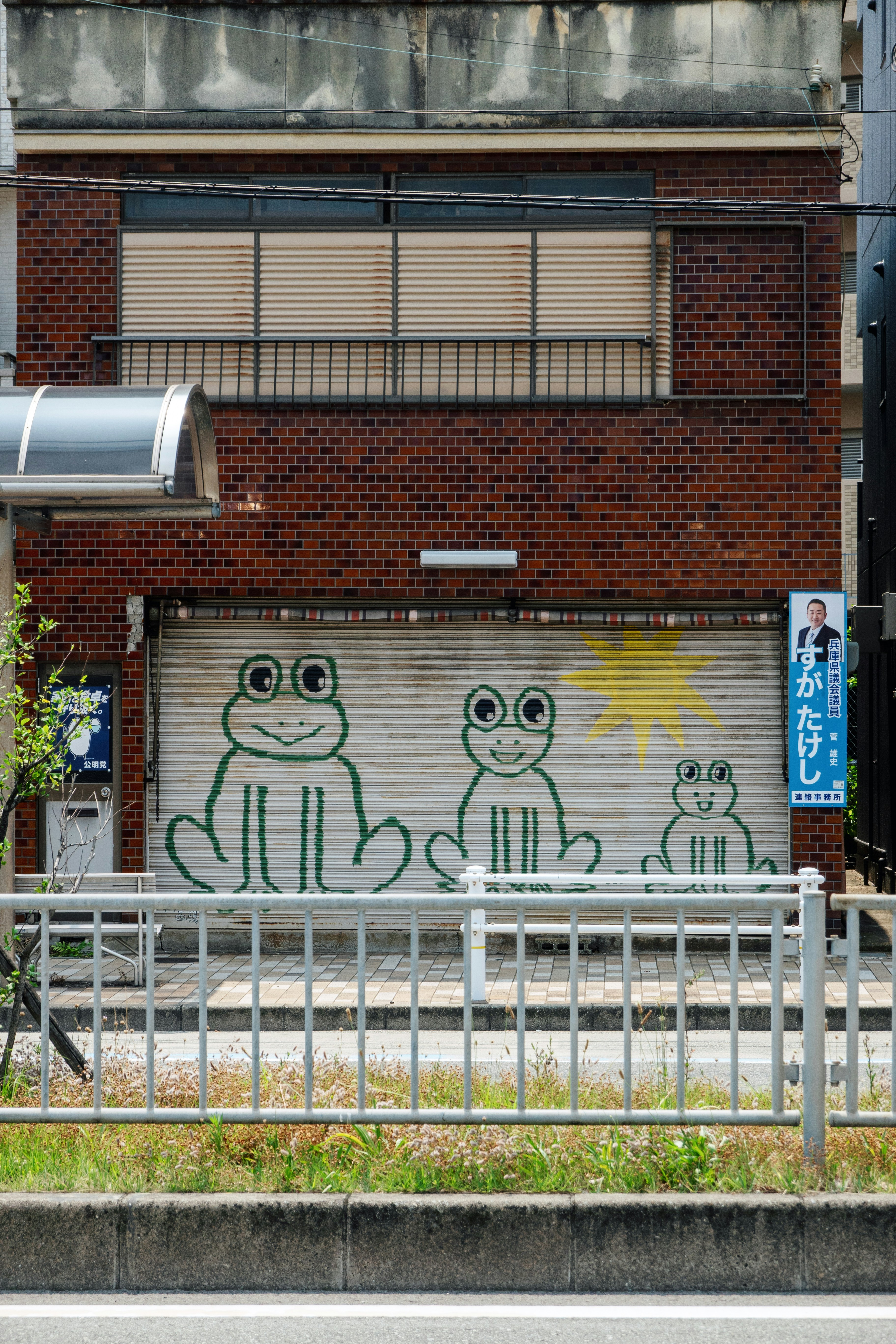 Whimsical Frogs Under the Sun