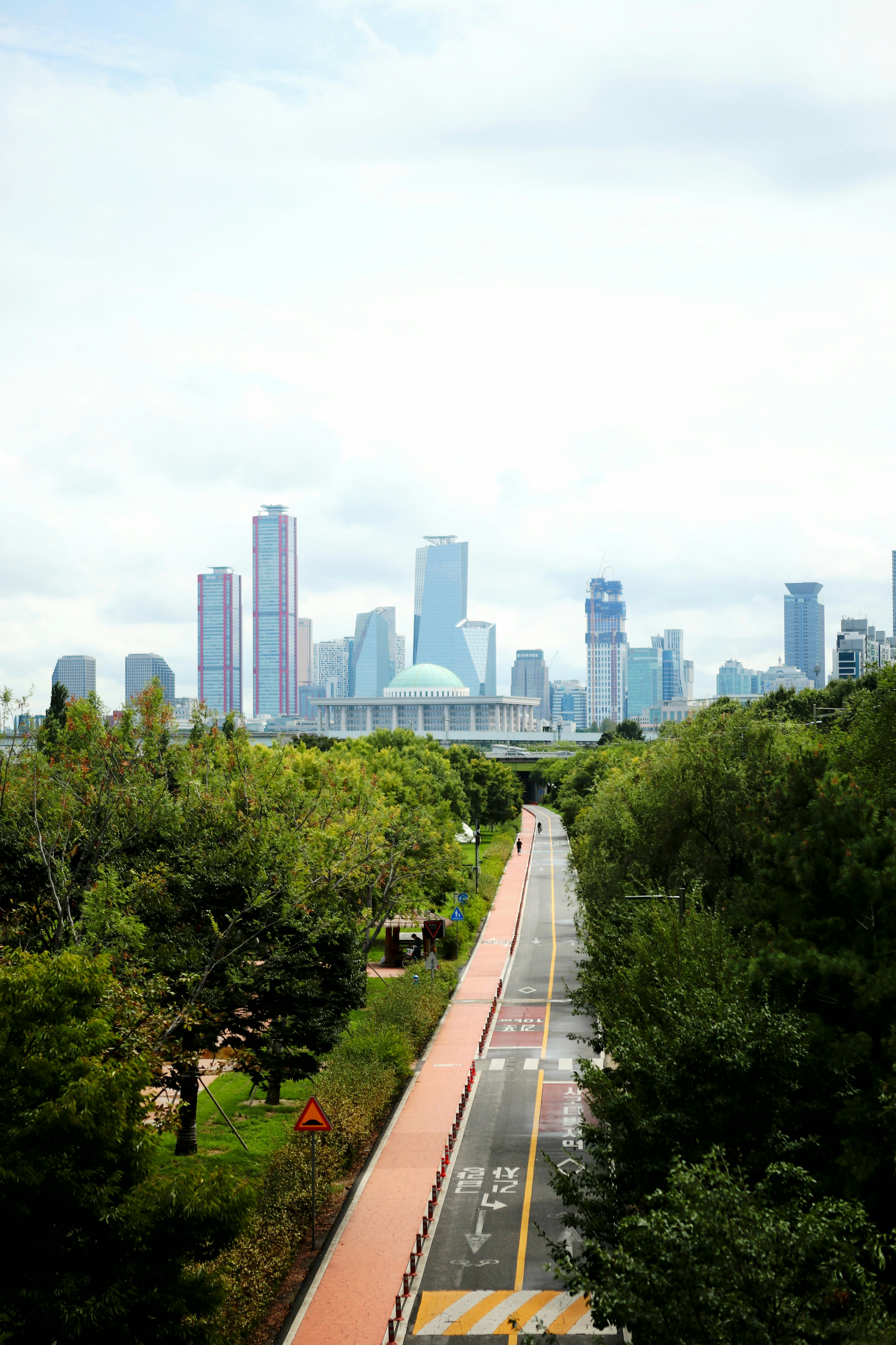 Urban Oasis: A Pathway Through the Cityscape