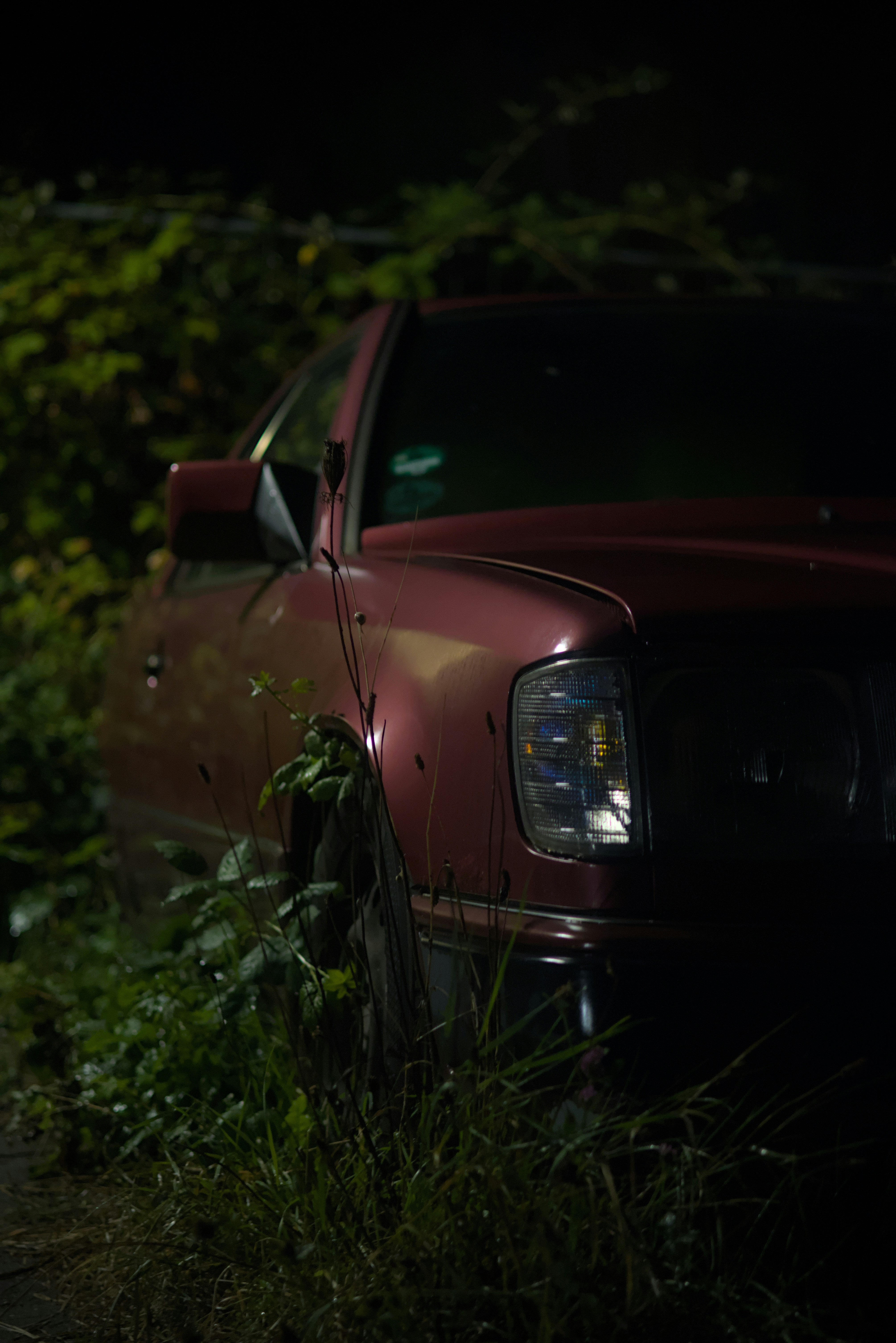 Whispers of Abandonment: The Forgotten Ride