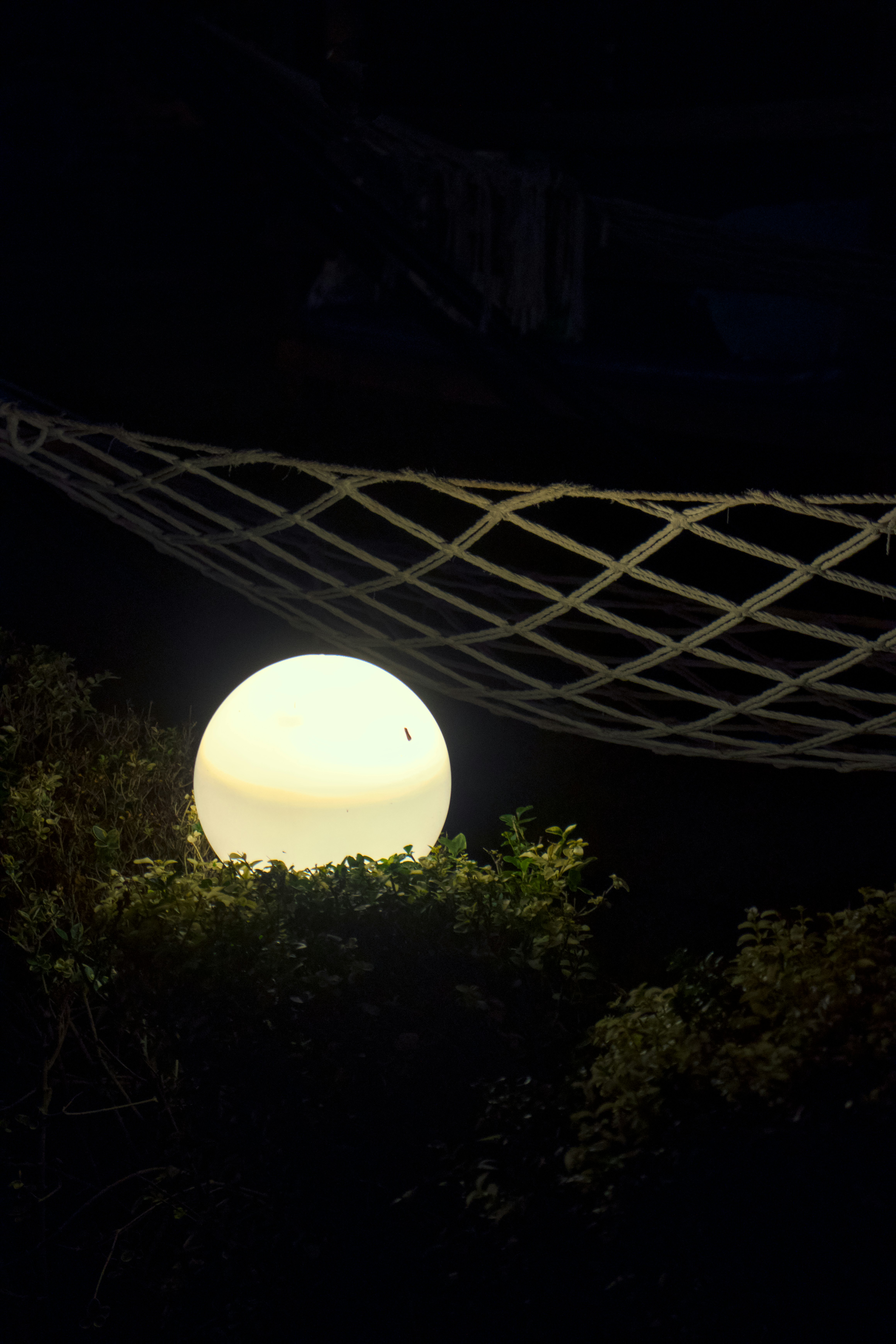 Glowing Orbs and Night Vines: A Quiet Harbor of Light