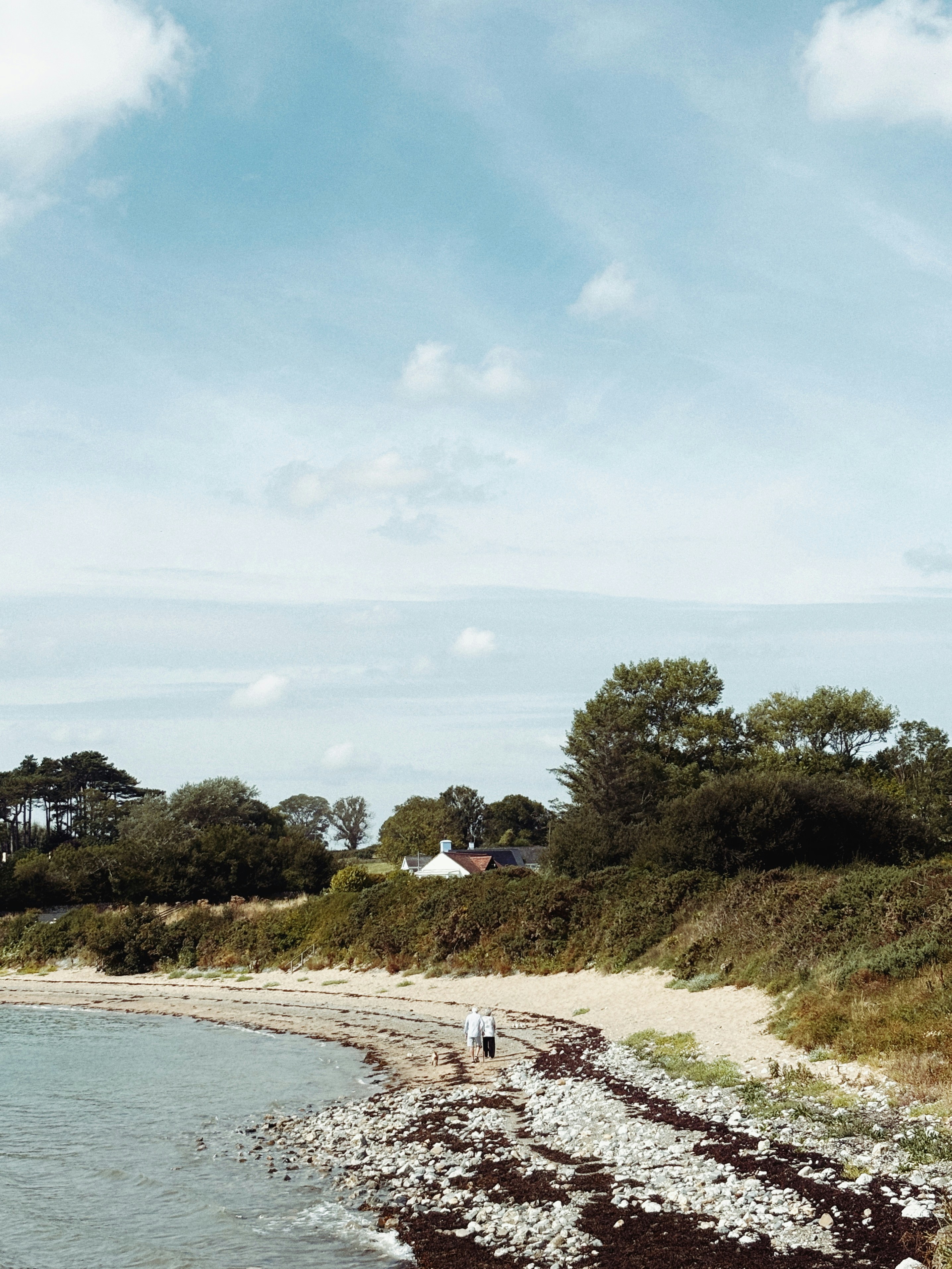 Couple walking on a pebble beach near trees.