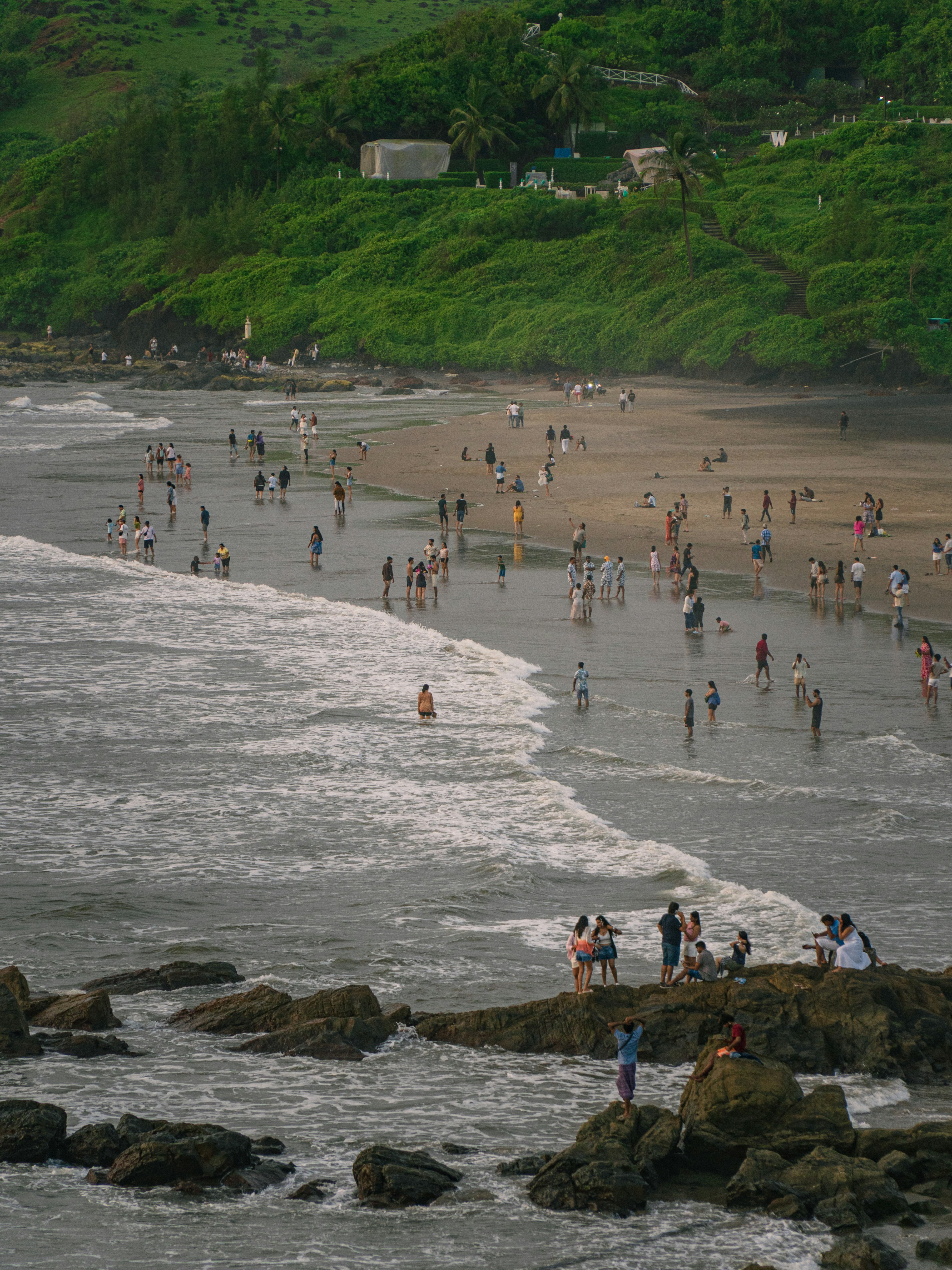 Crowded Shoreline Mosaic on a Lush Coastal Ridge