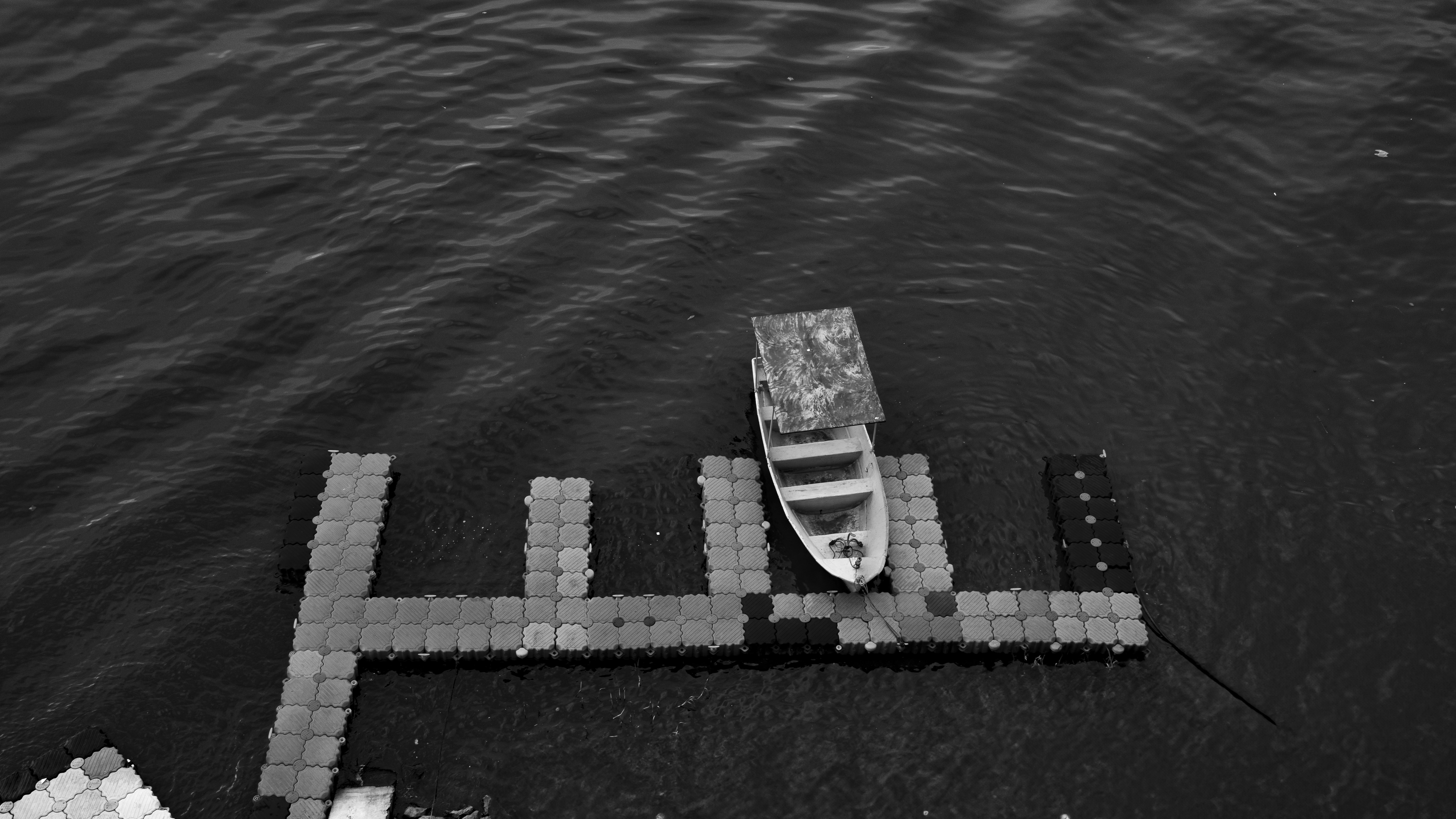Serenity on the Water's Edge