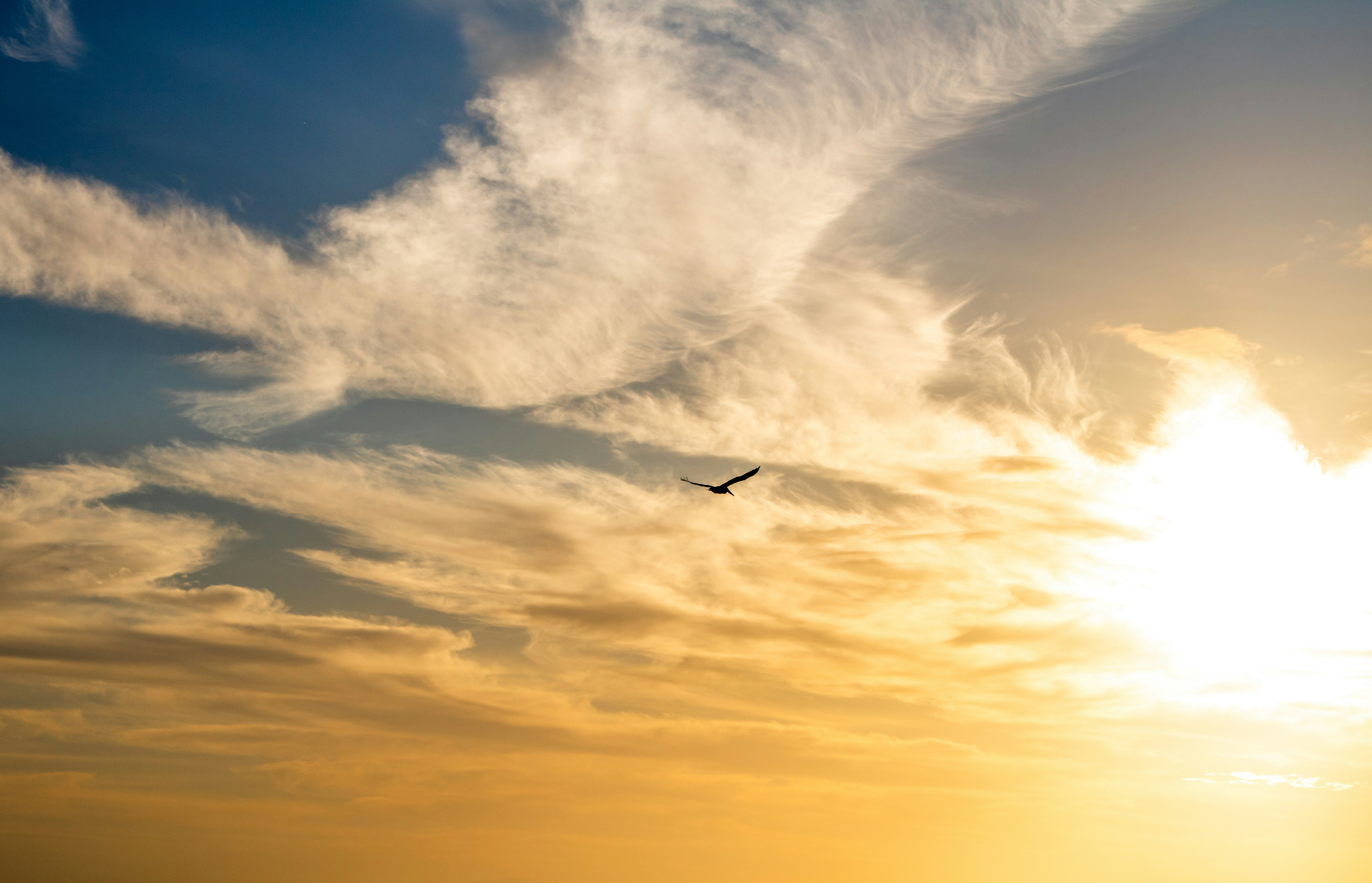 A bird flying across the open sky at sunset. | A lone bird flies through a dramatic sunset sky.